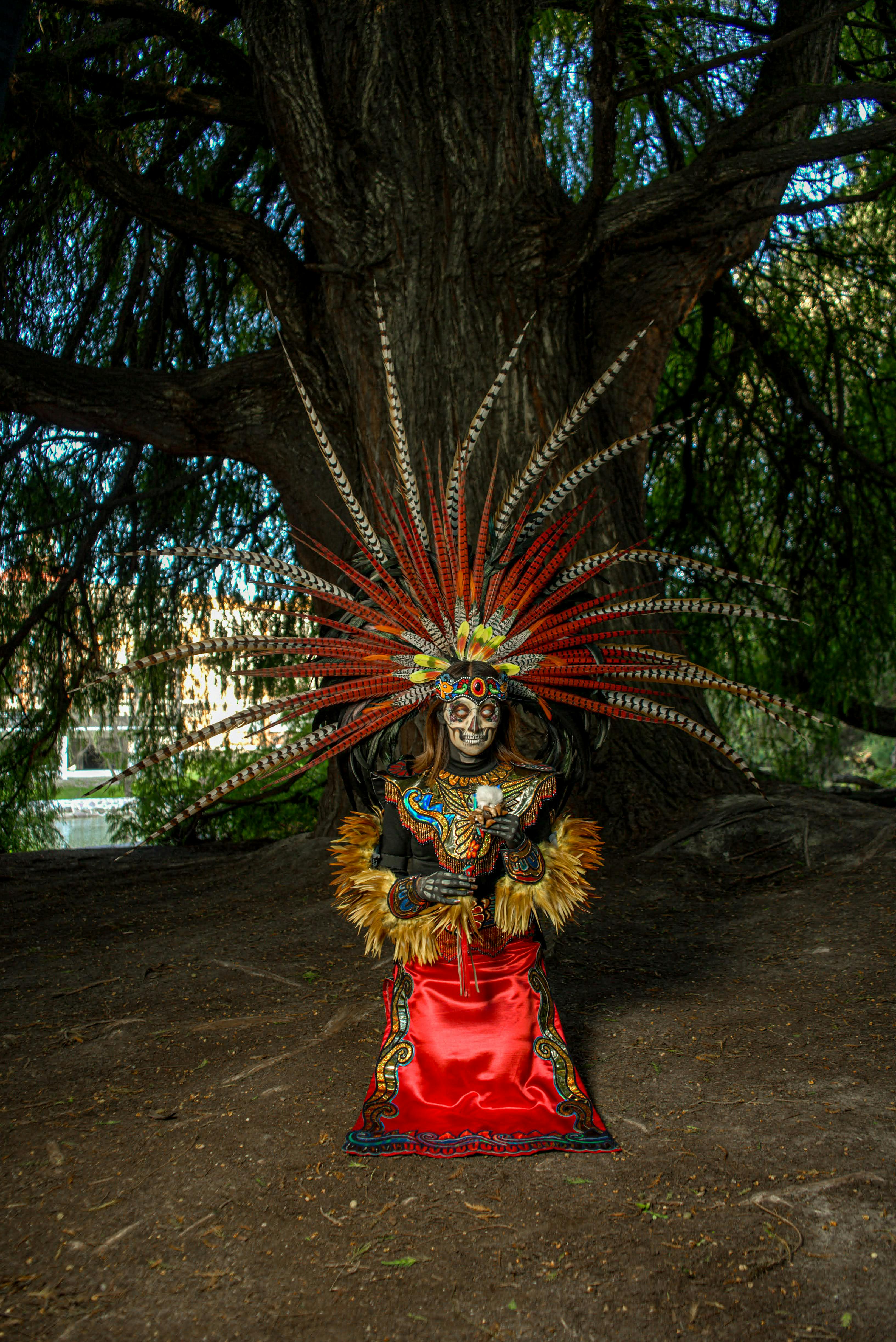 Traditional Cultural Costume Ritual Outdoors · Free Stock Photo