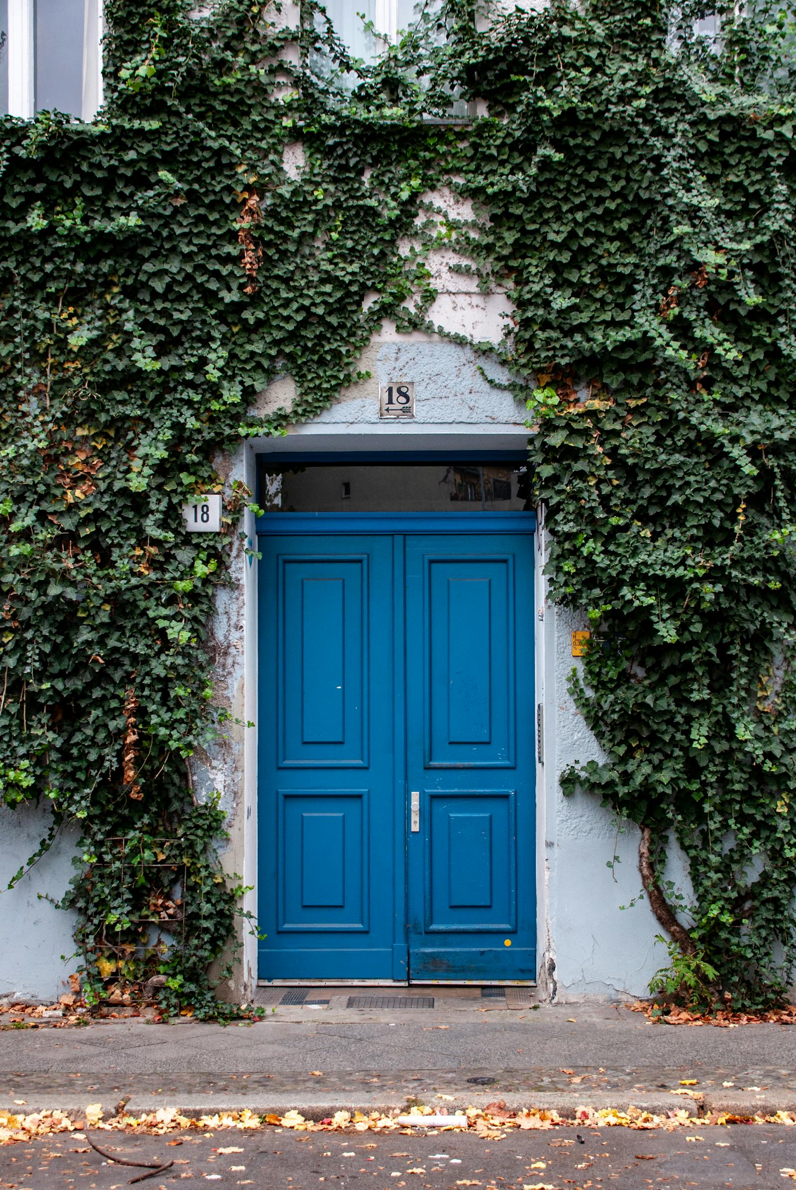 Blue Door Photos, Download The BEST Free Blue Door Stock Photos & HD Images