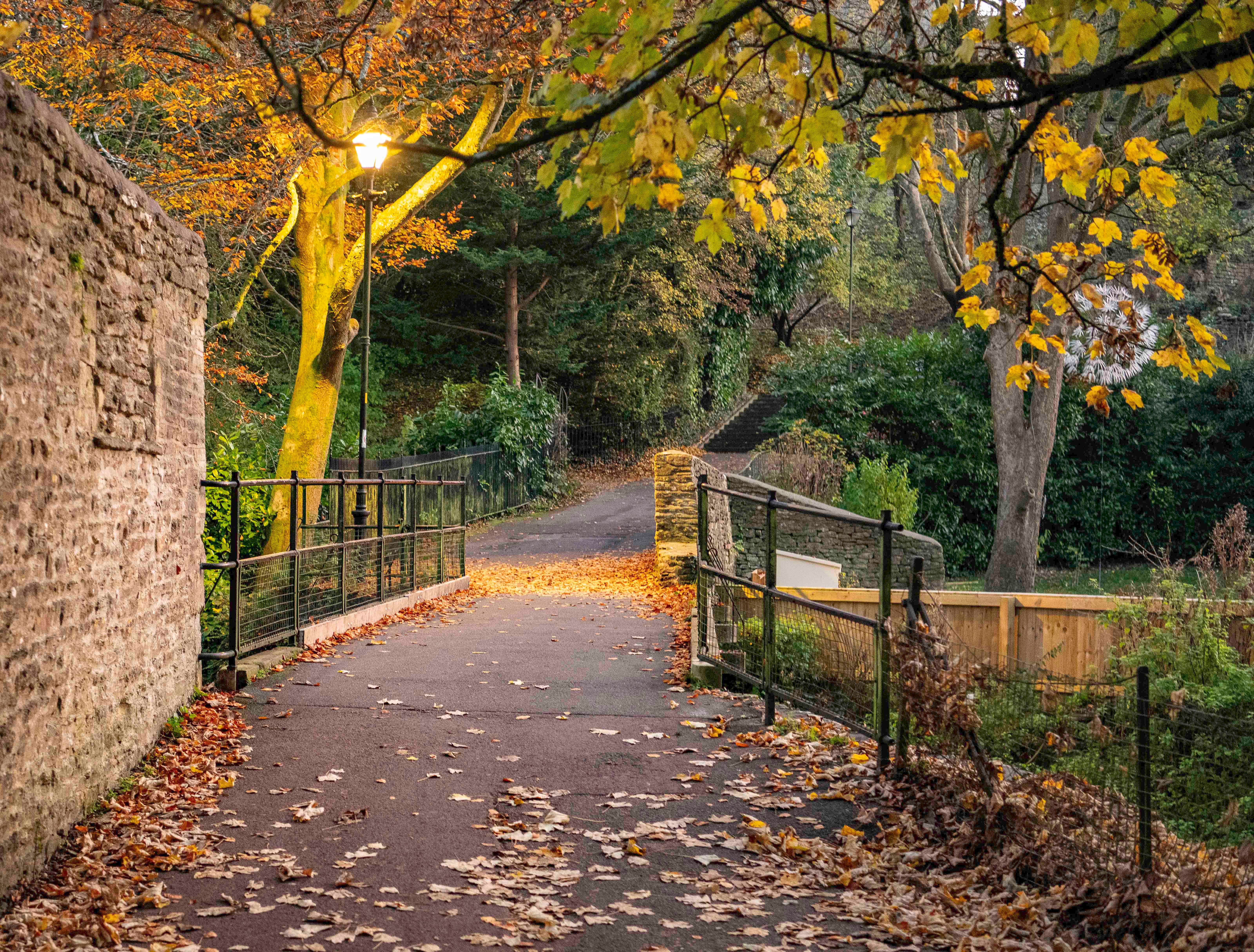 Scenic Autumn Pathway with Falling Leaves · Free Stock Photo