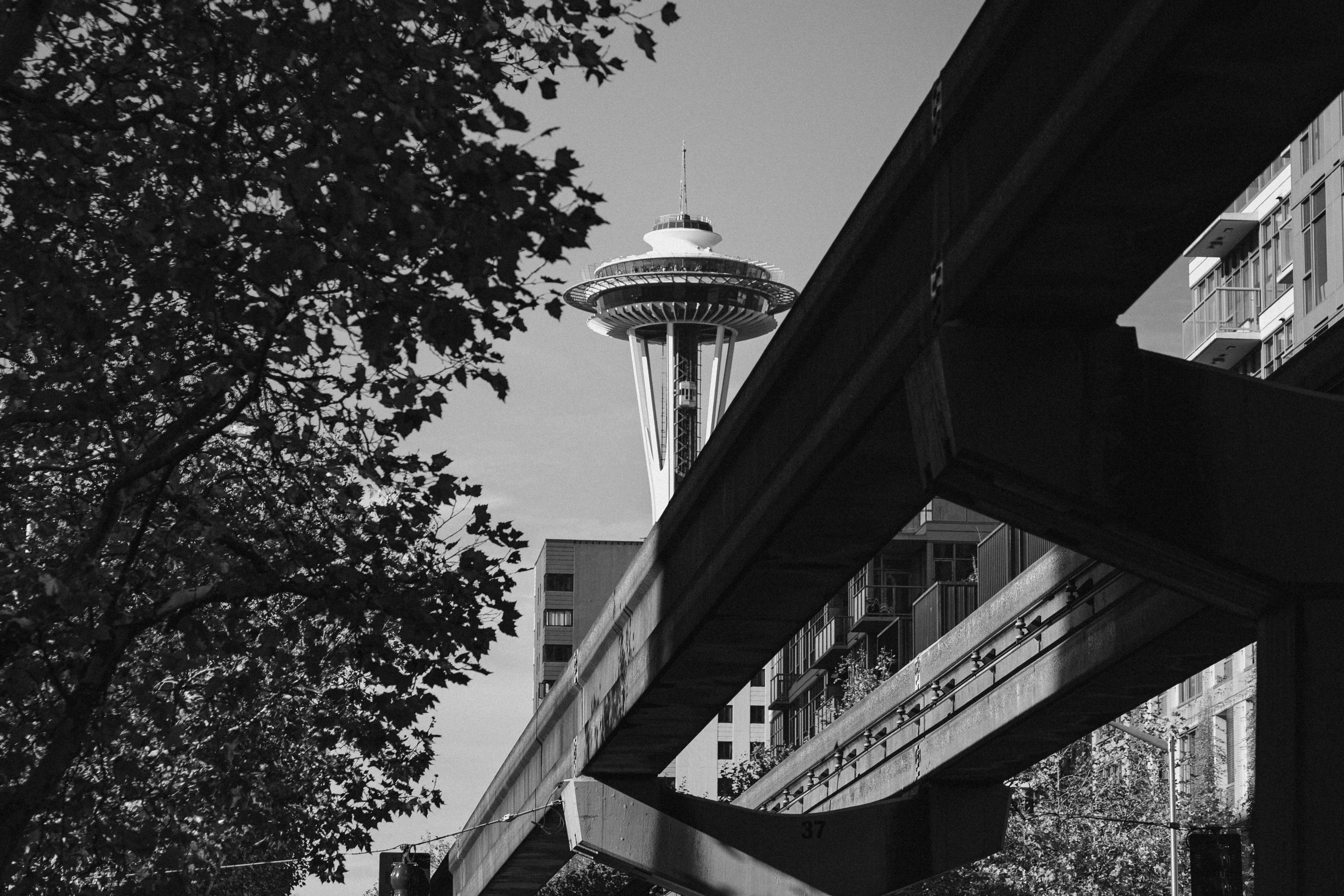 Iconic Space Needle in Black and White · Free Stock Photo