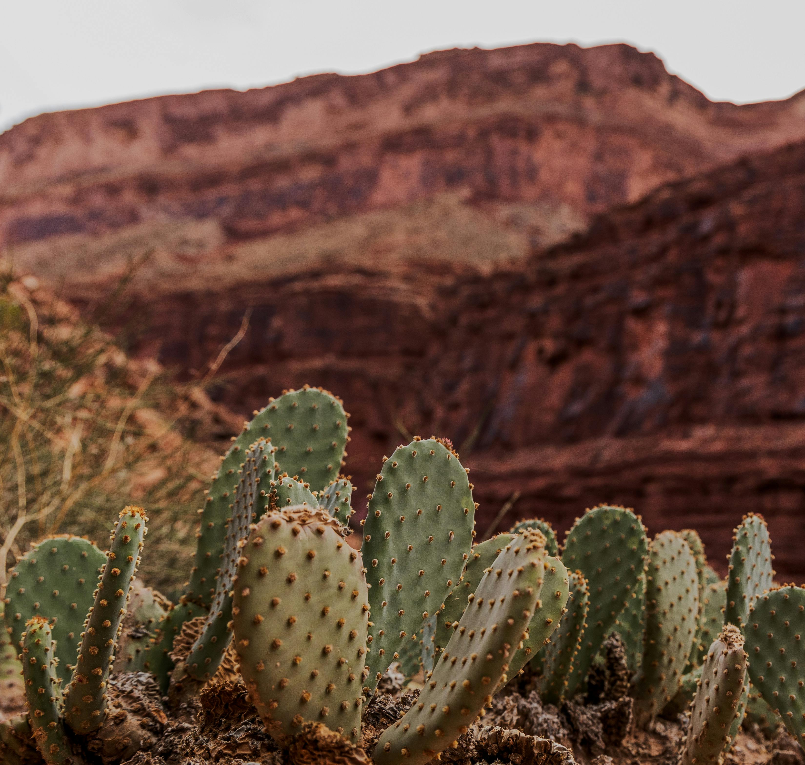 202+ Fotos y Imágenes de Hatch Gratis · Banco de Fotos Gratis