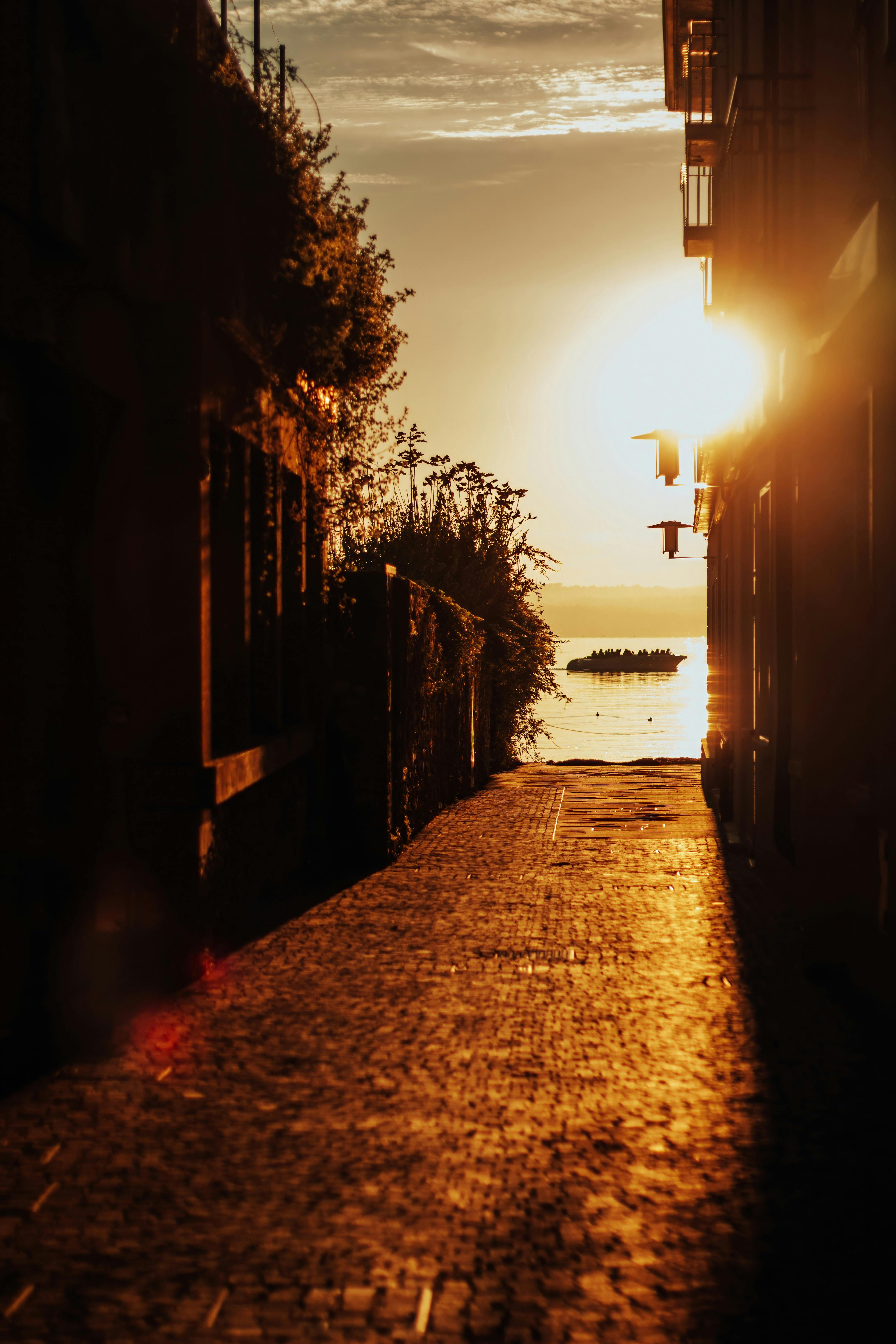 Scenic Sunset Alley Leading to Waterfront View · Free Stock Photo