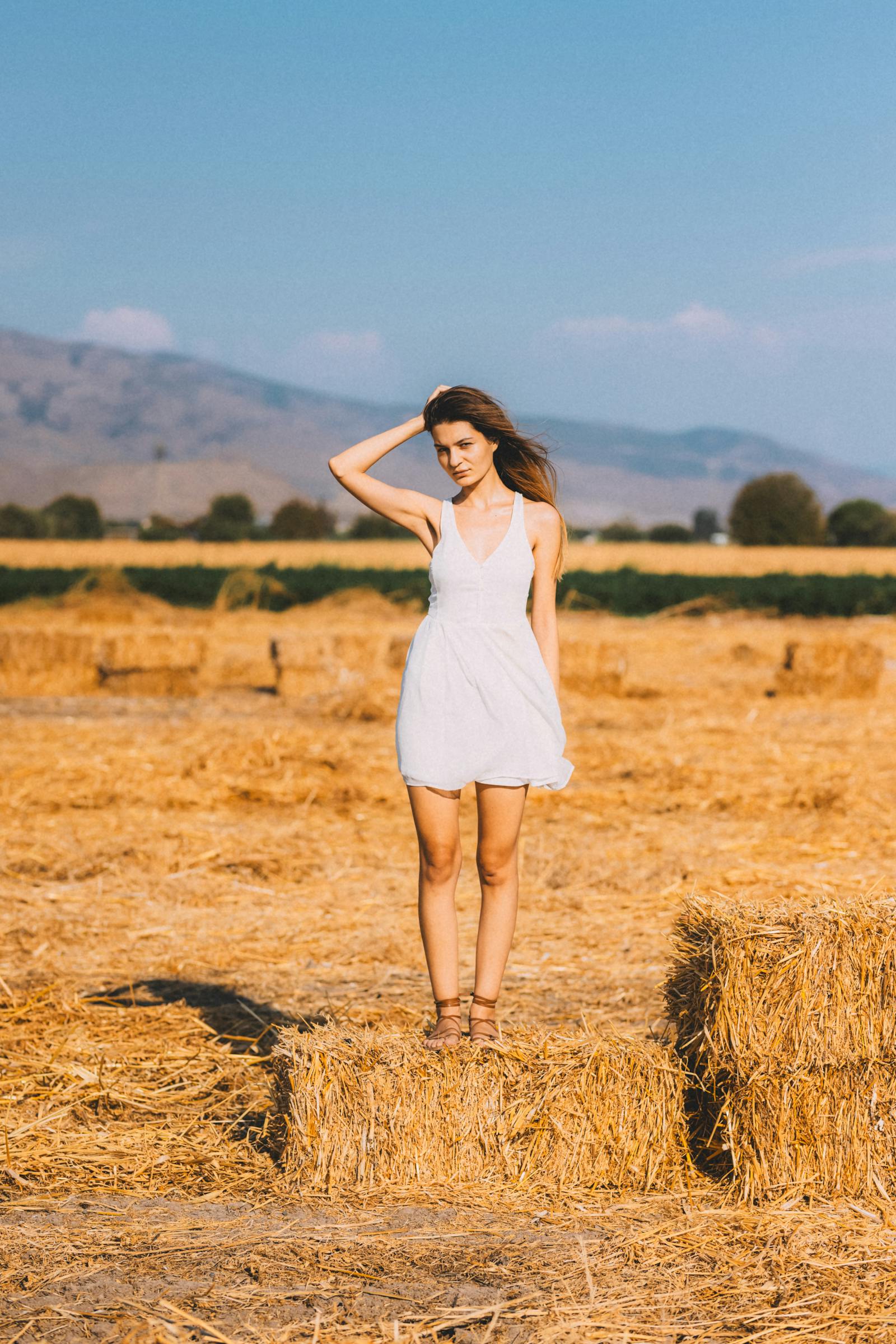 Sun. Photos, Download The BEST Free Sun. Stock Photos & HD Images