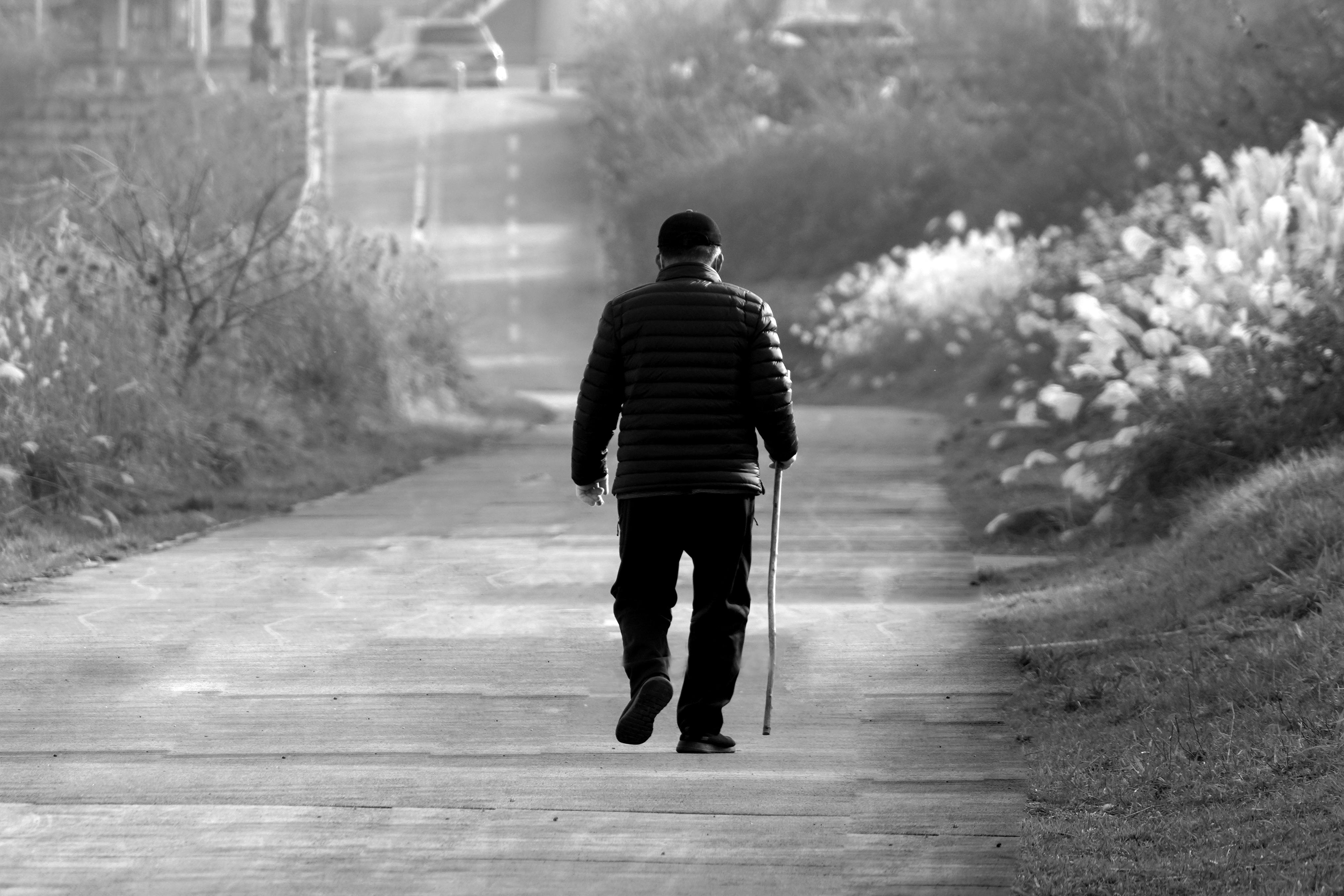 Solitary Walk on Secluded Pathway at Dusk · Free Stock Photo