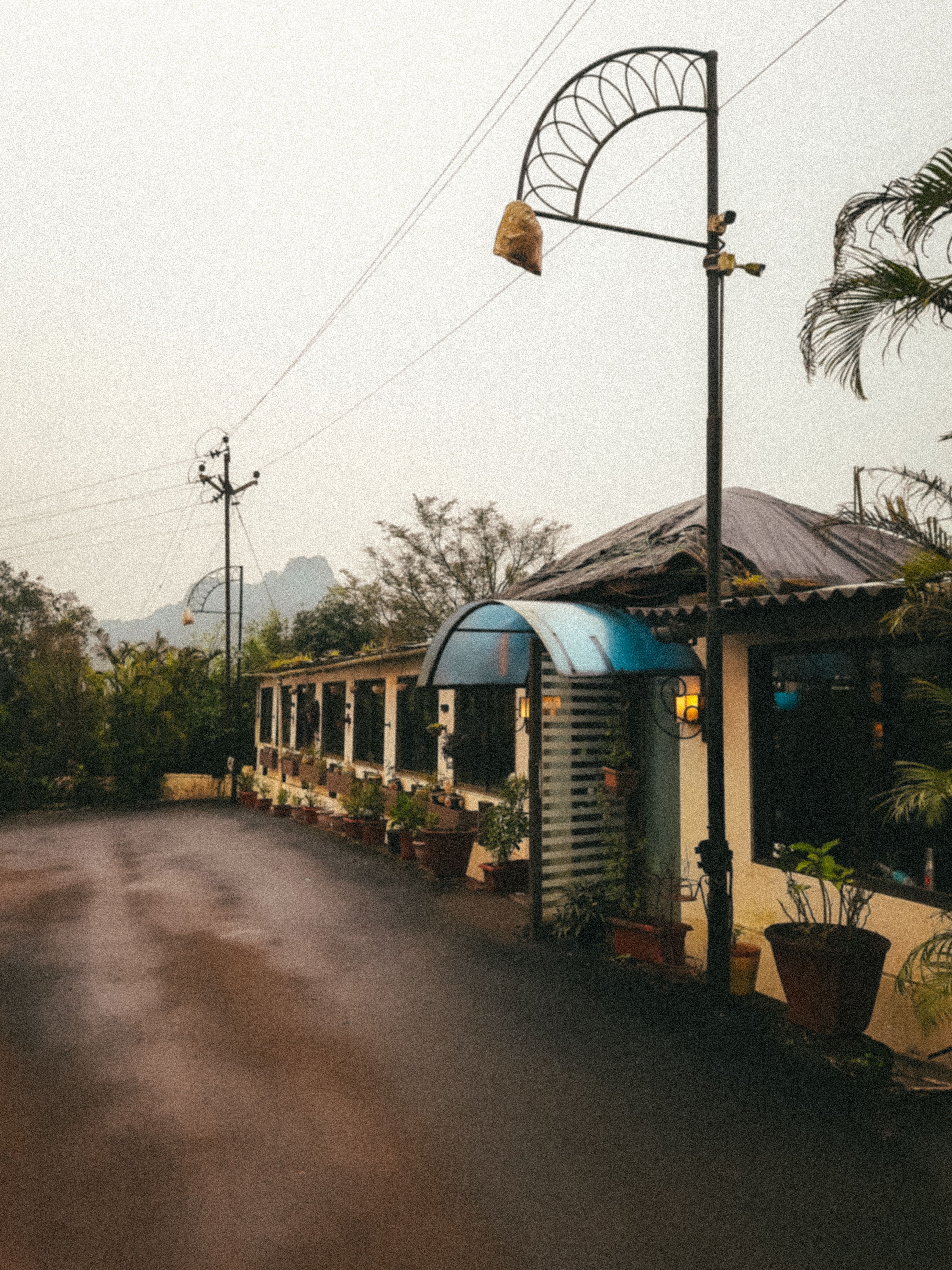 Rustic Cafe by a Tranquil Roadside · Free Stock Photo