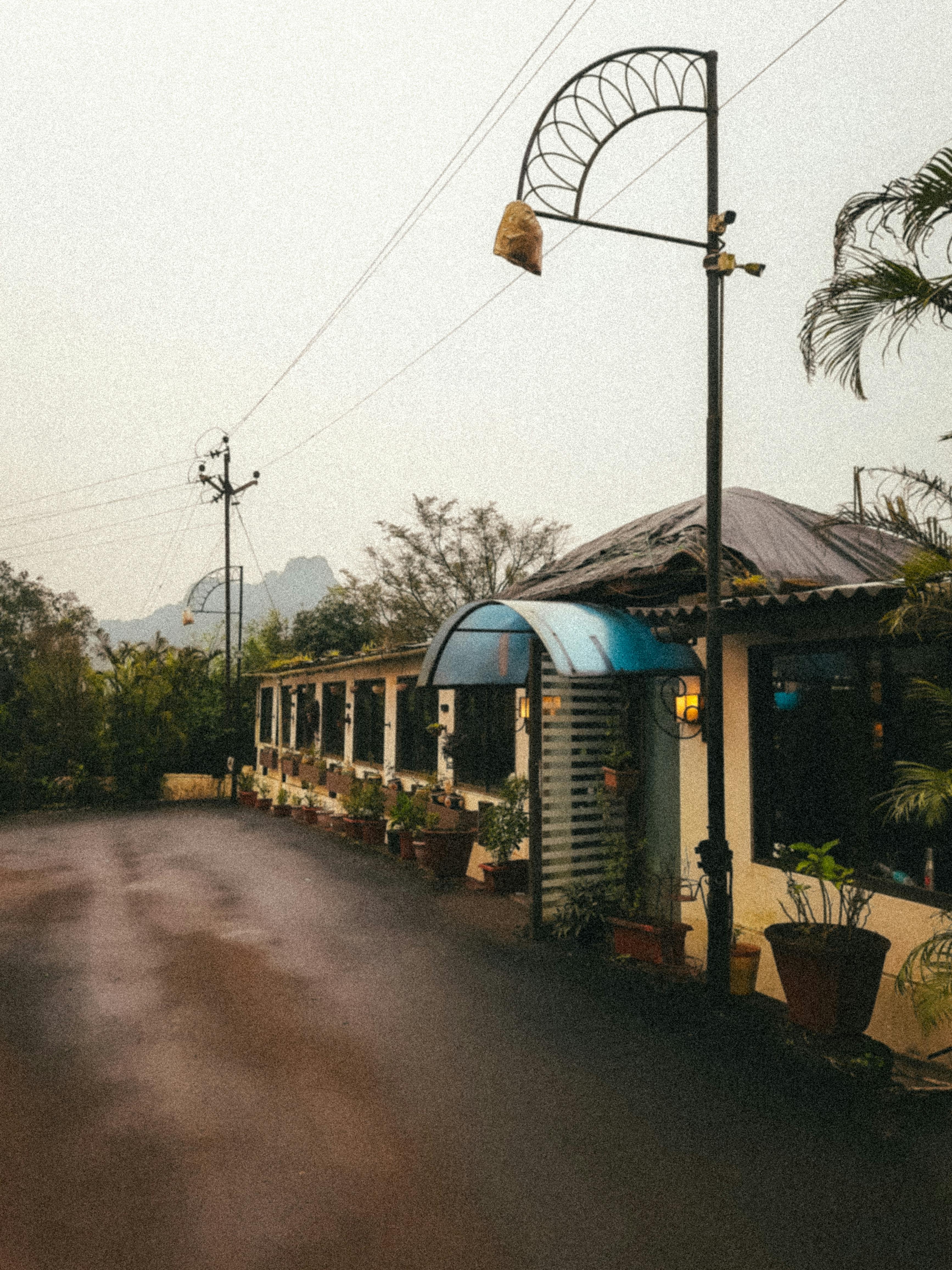 Rustic Cafe by a Tranquil Roadside · Free Stock Photo
