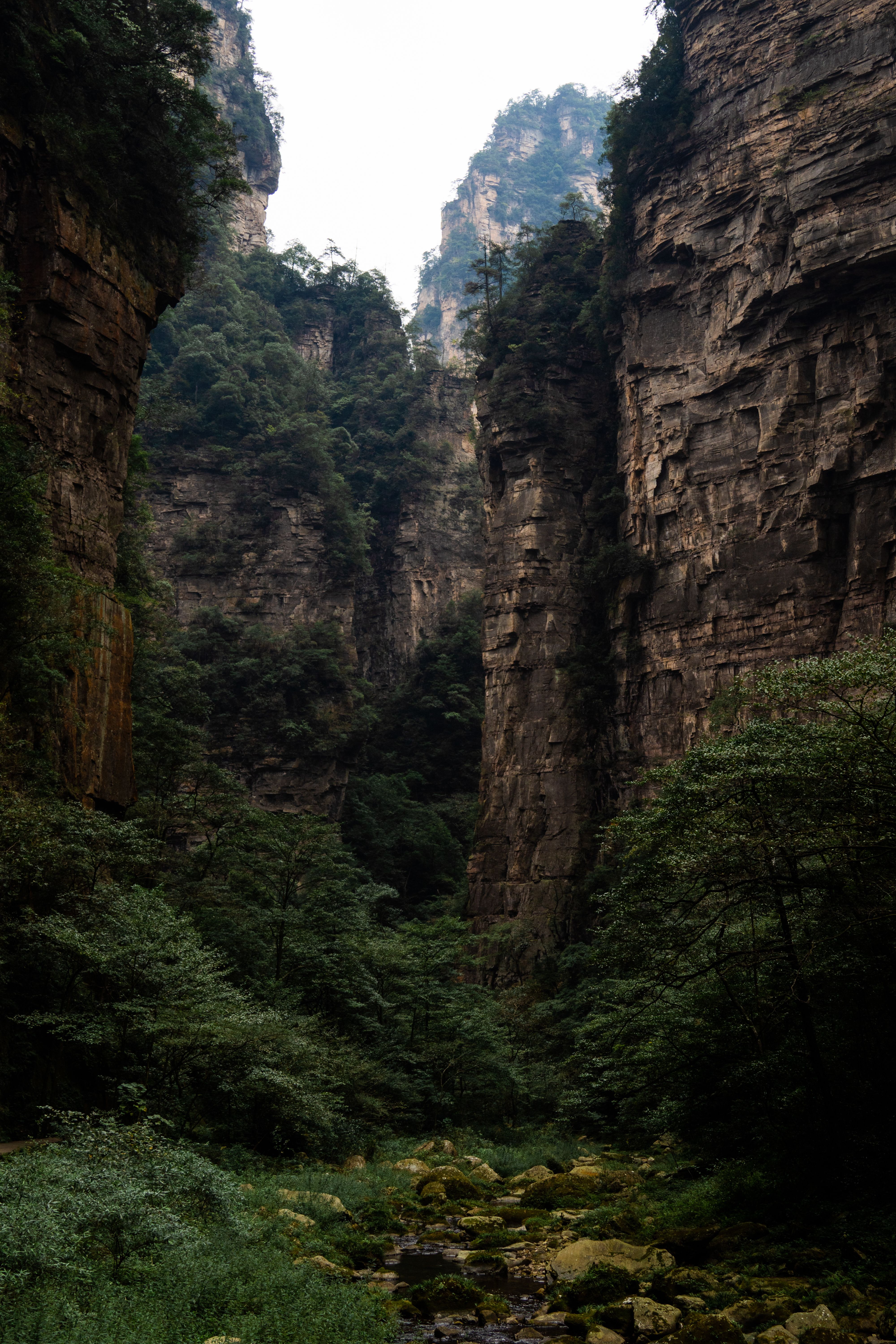 Majestic Rocky Canyon with Lush Greenery · Free Stock Photo