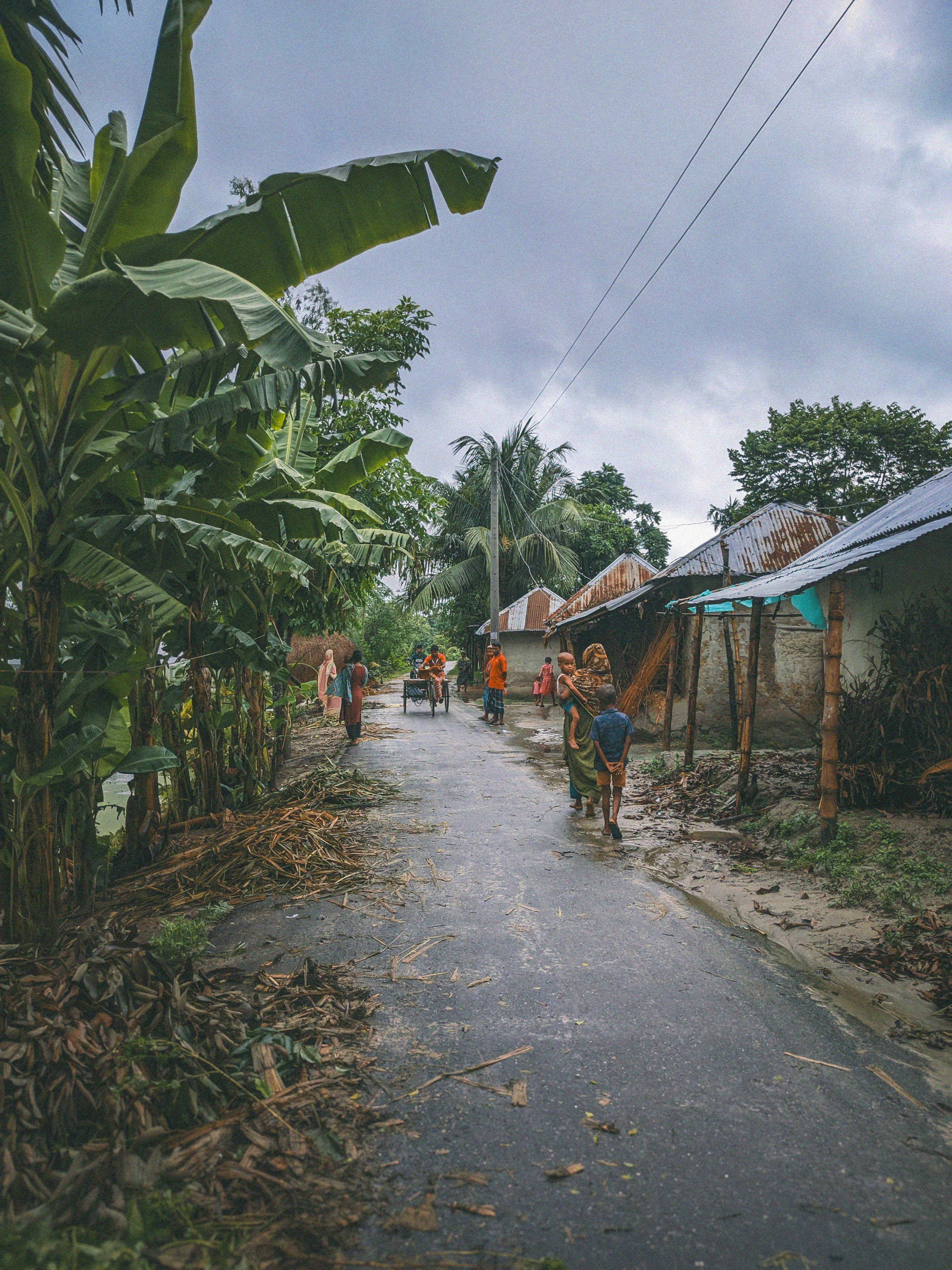 Rural Village Pathway with Banana Trees · Free Stock Photo