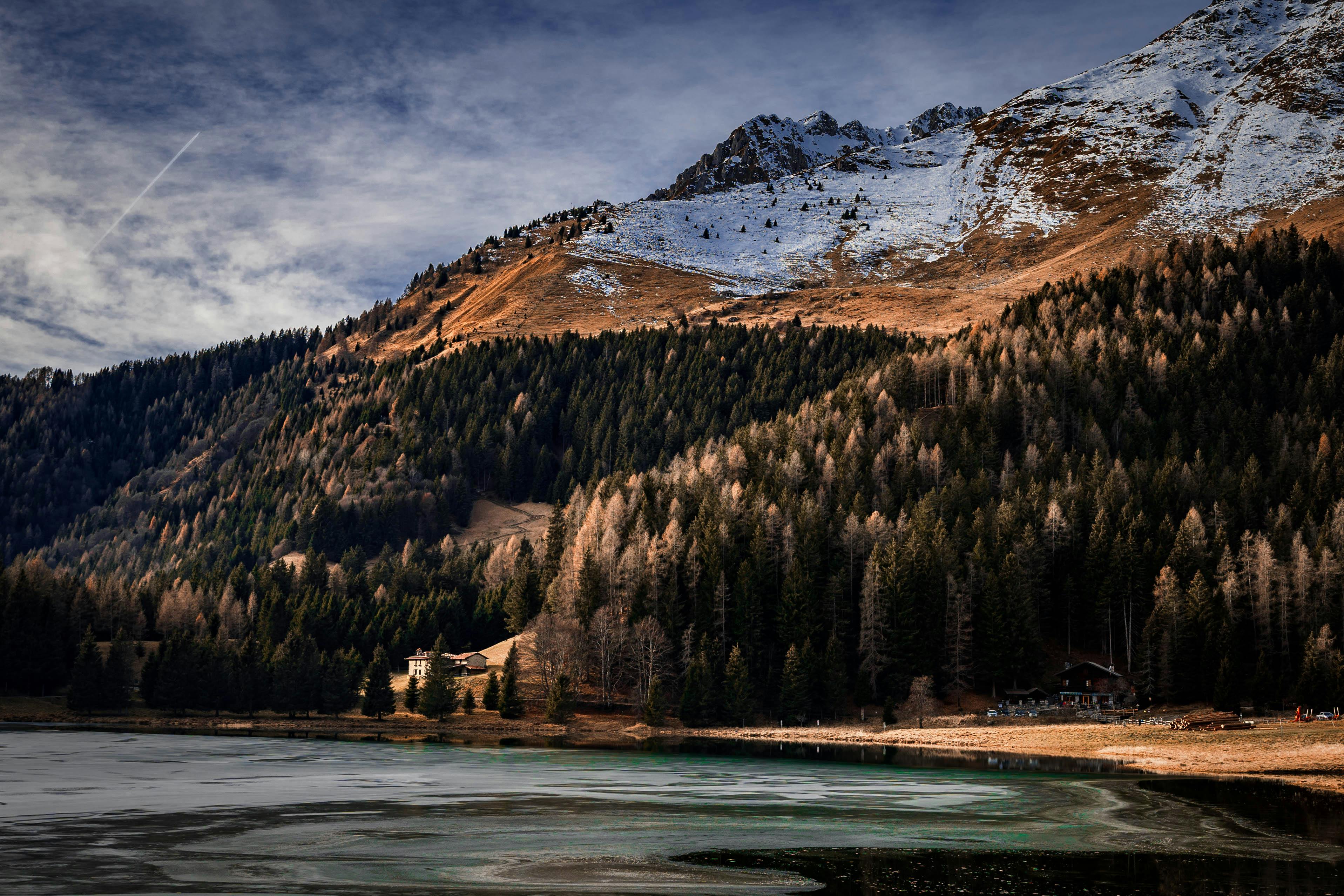 Rown Photos, Download The BEST Free Rown Stock Photos & HD Images