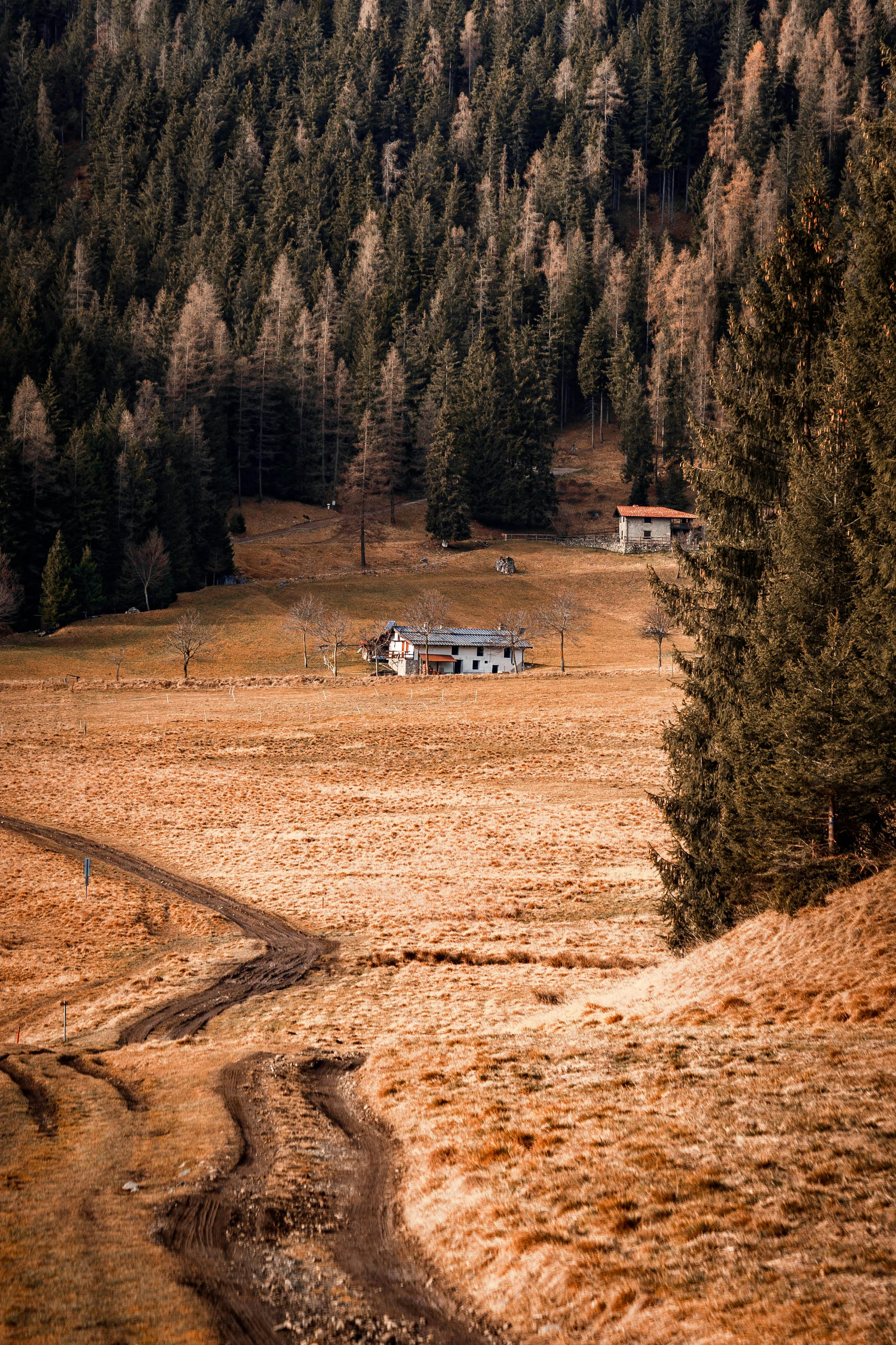 Mountain Hideaway Photos, Download The BEST Free Mountain Hideaway ...