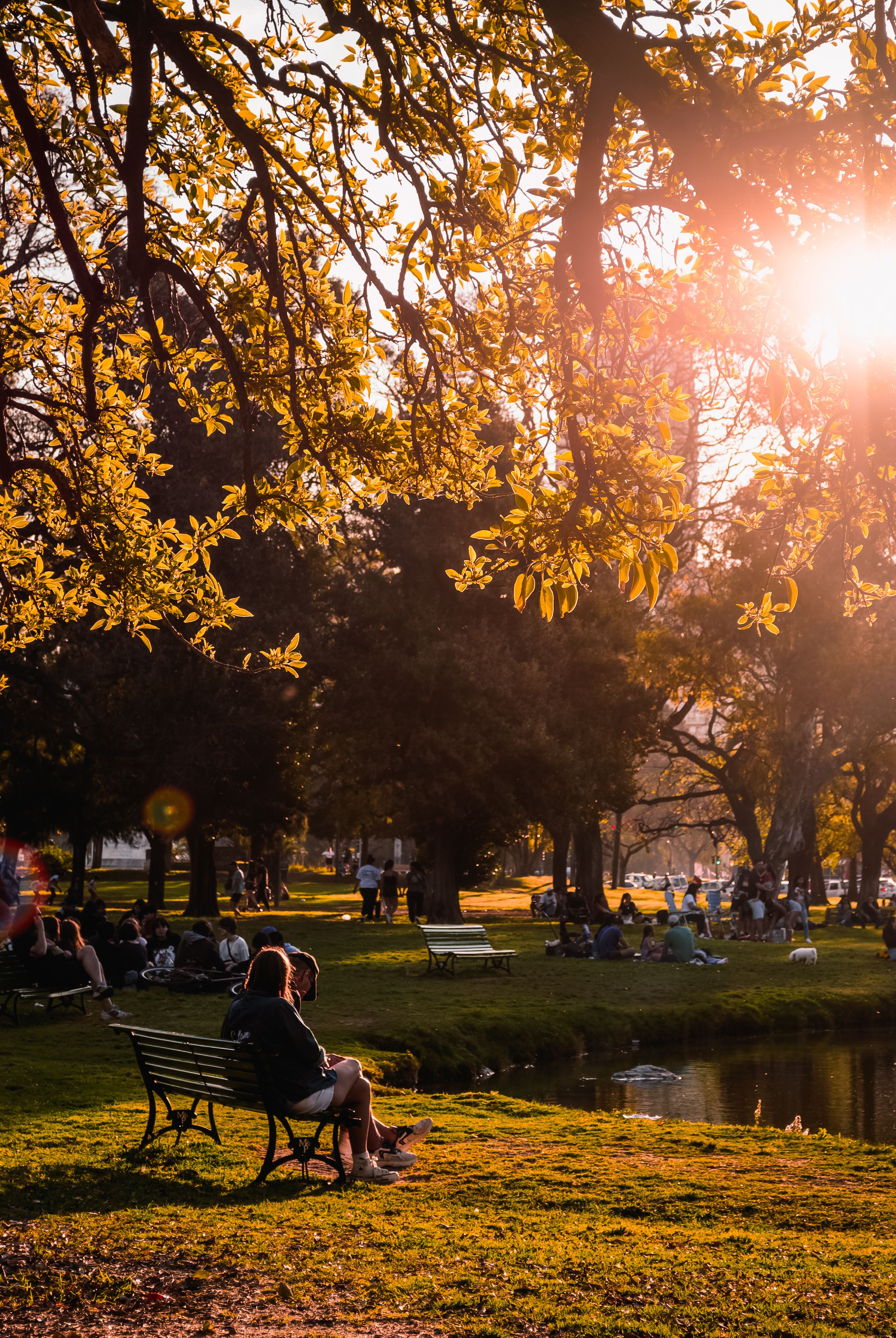 Tarde Serena En El Parque De Buenos Aires · Foto de stock gratuita