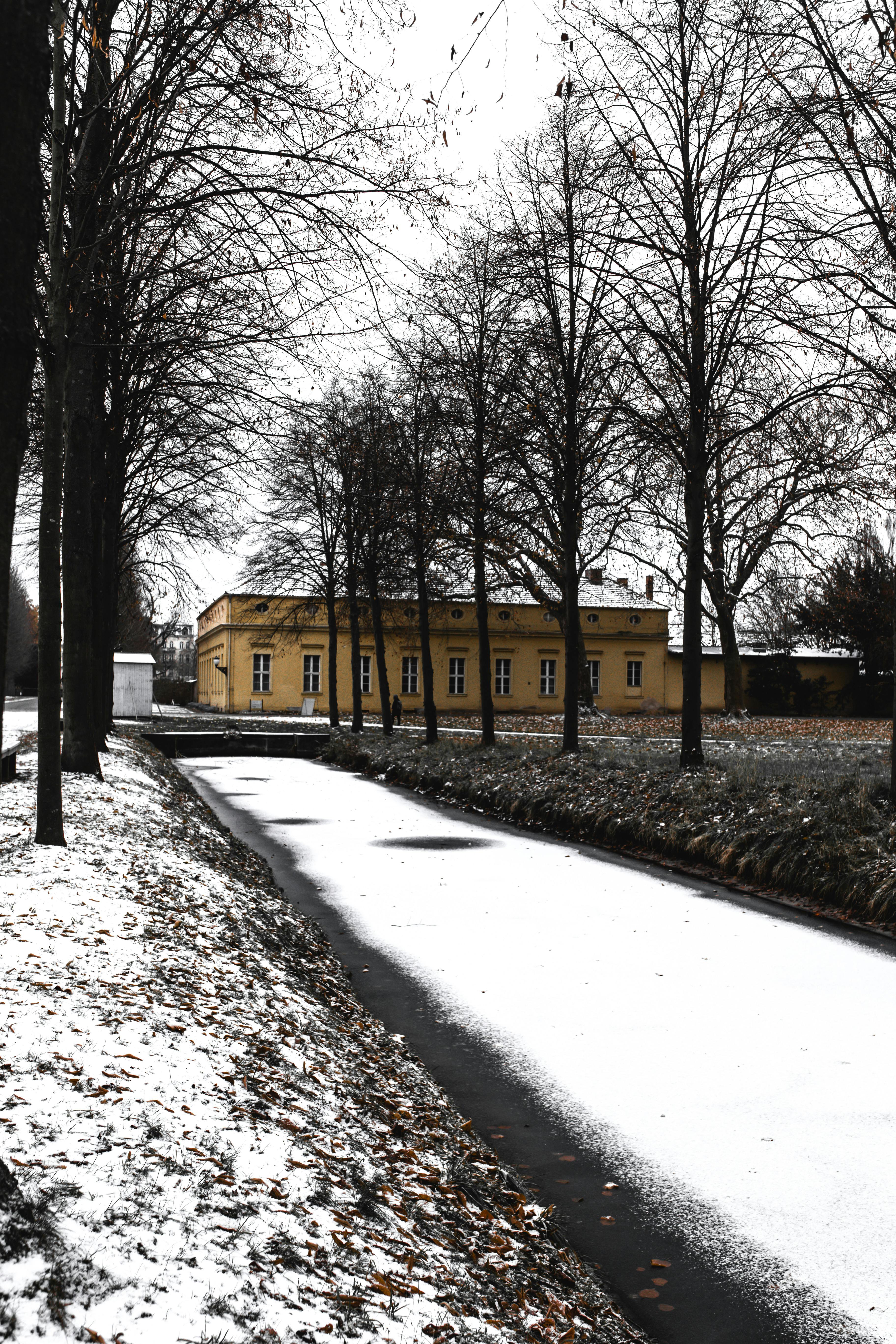 Winter Scene in Potsdam, Germany Park · Free Stock Photo