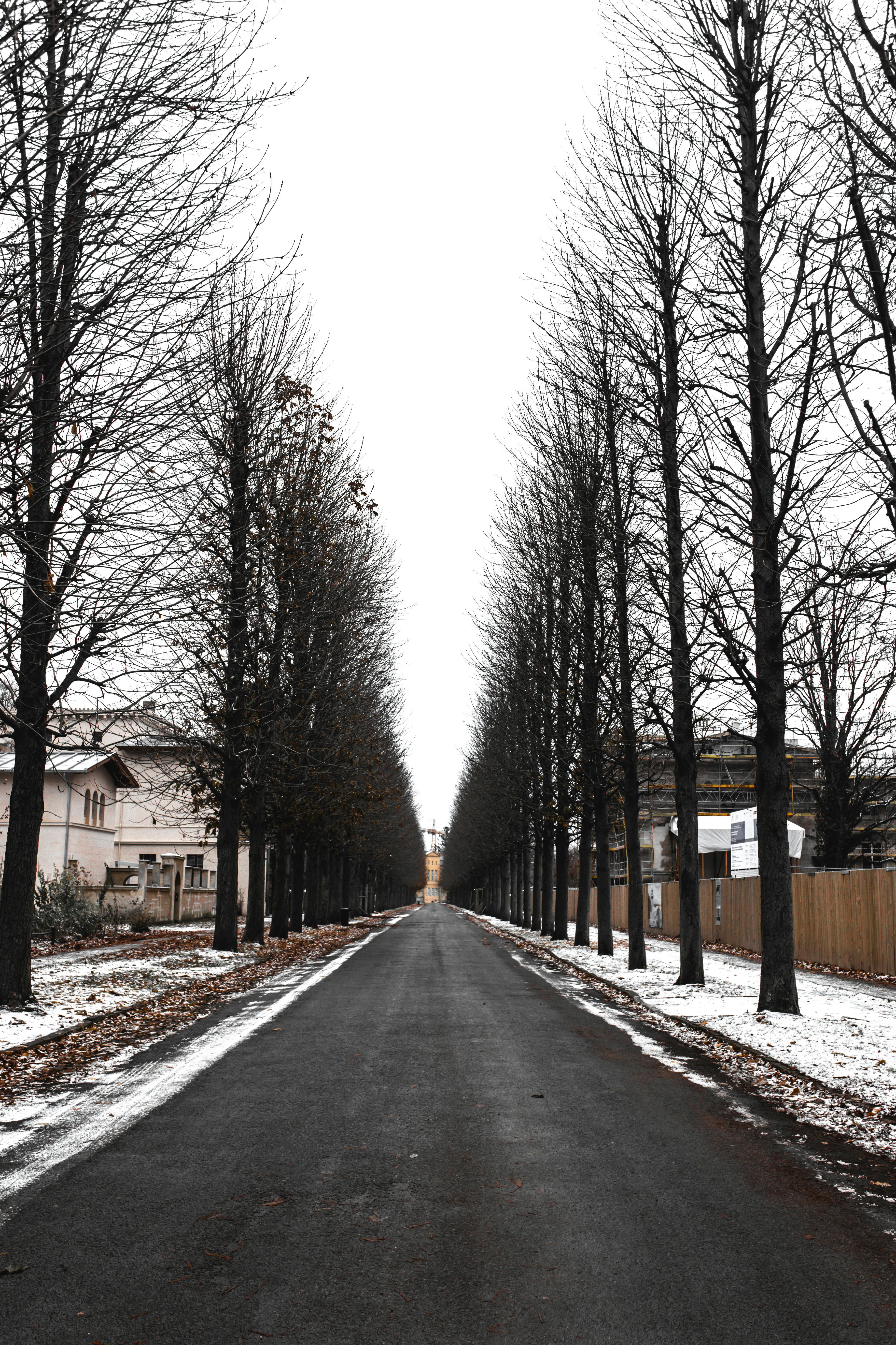 Potsdam Winter Photos, Download The BEST Free Potsdam Winter Stock ...