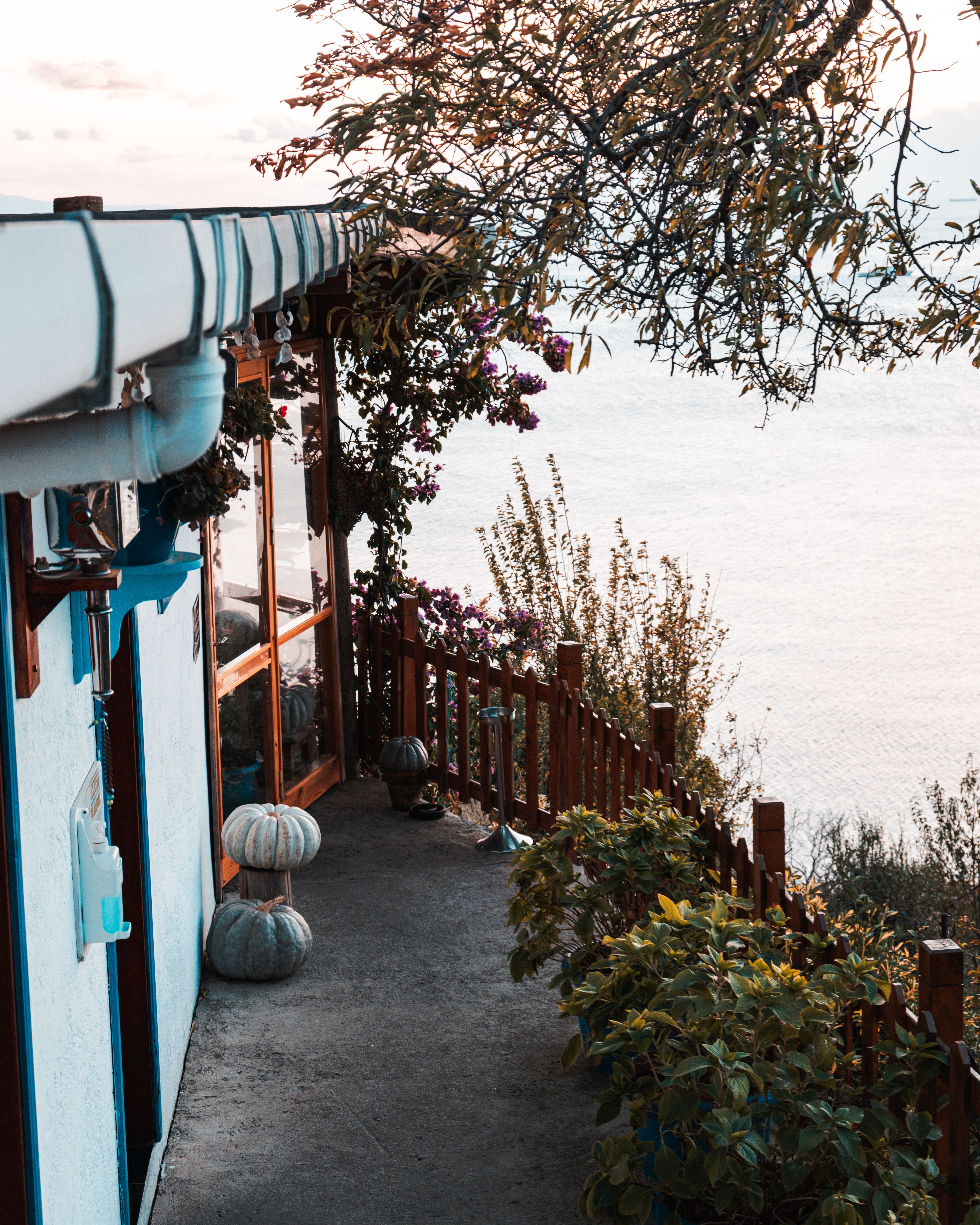 Charming Coastal Cottage with Ocean View · Free Stock Photo