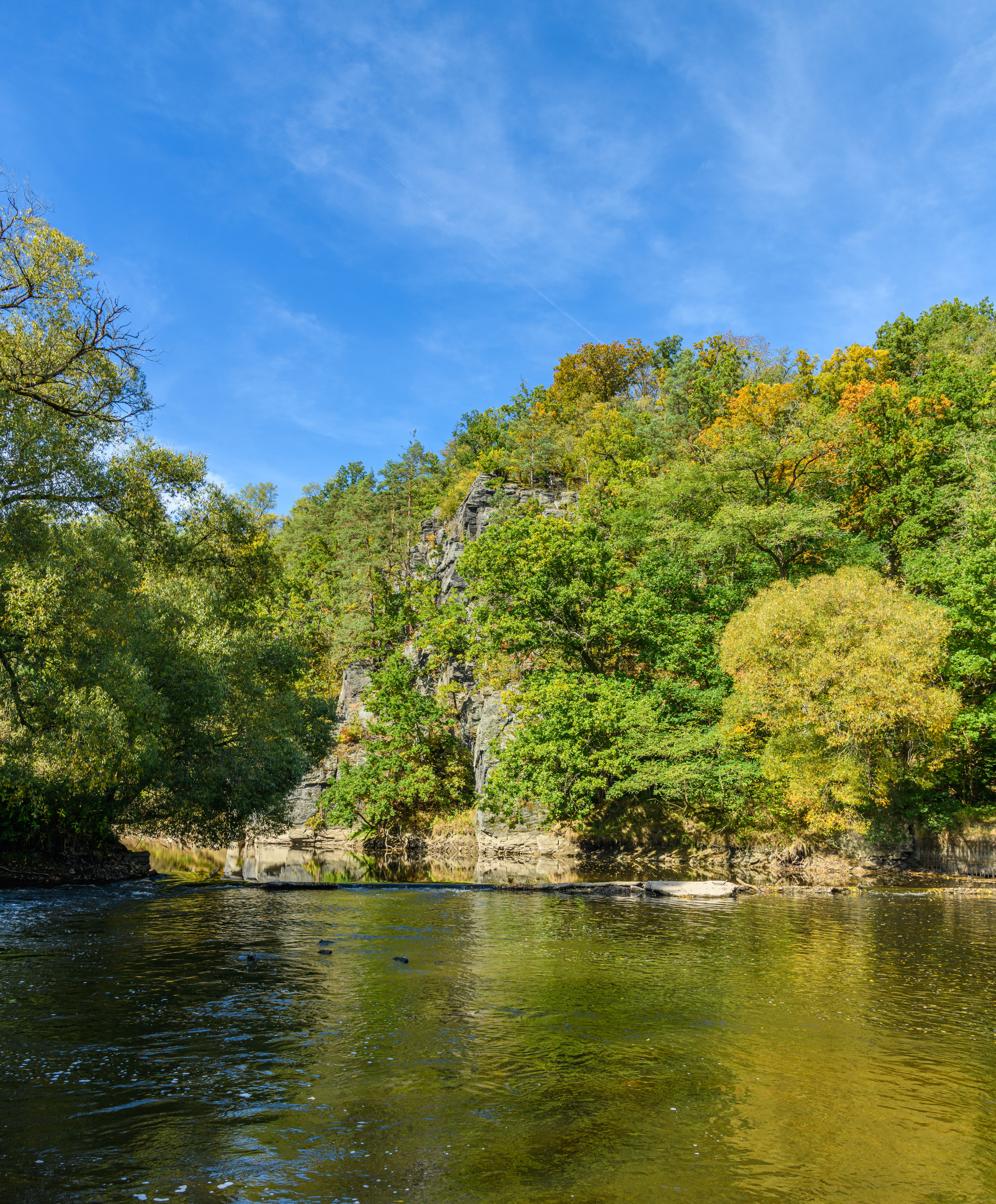Scenic River View with Lush Greenery in Czechia · Free Stock Photo