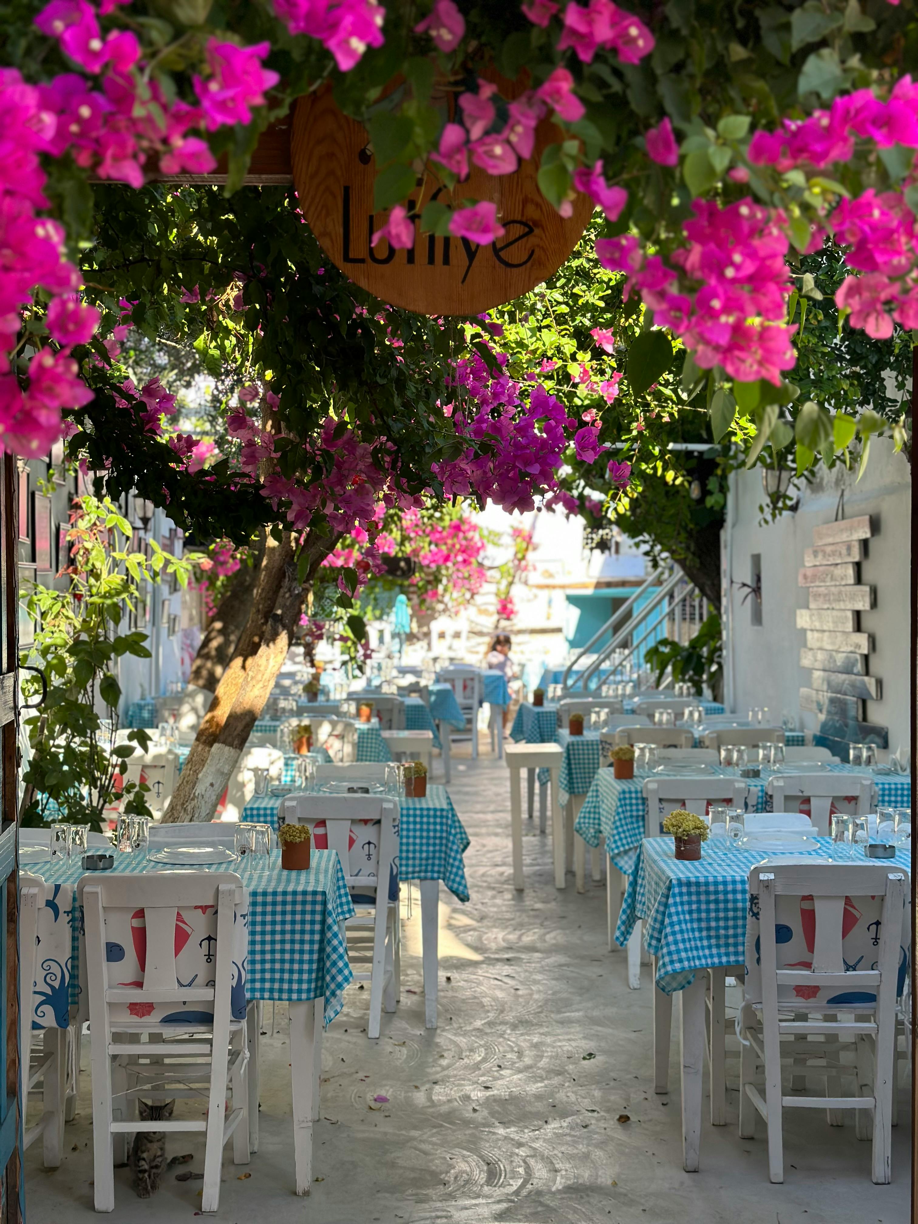 Charming Outdoor Cafe with Leafy Canopy · Free Stock Photo