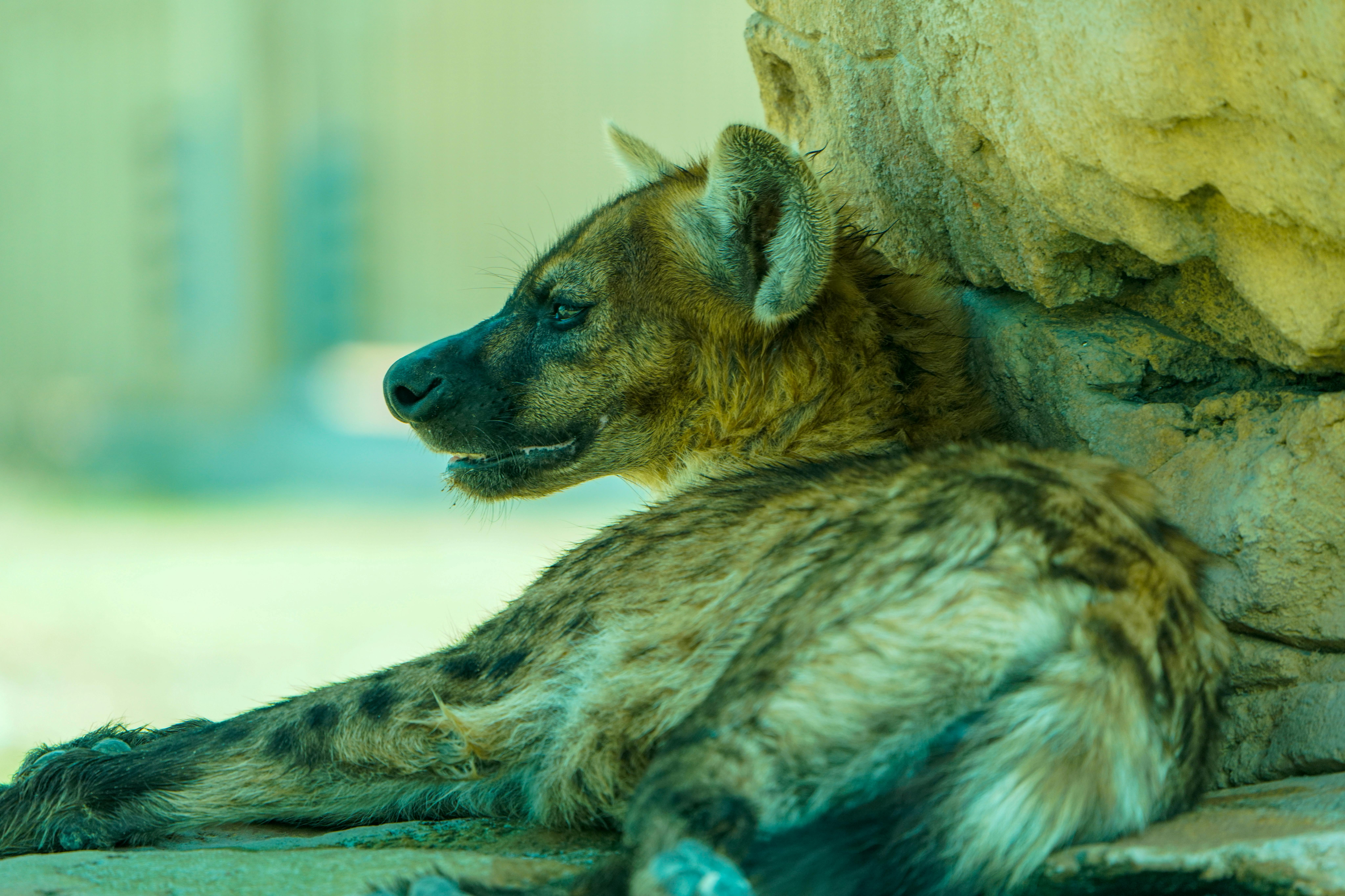 Tainted Background Photos, Download The BEST Free Tainted Background ...