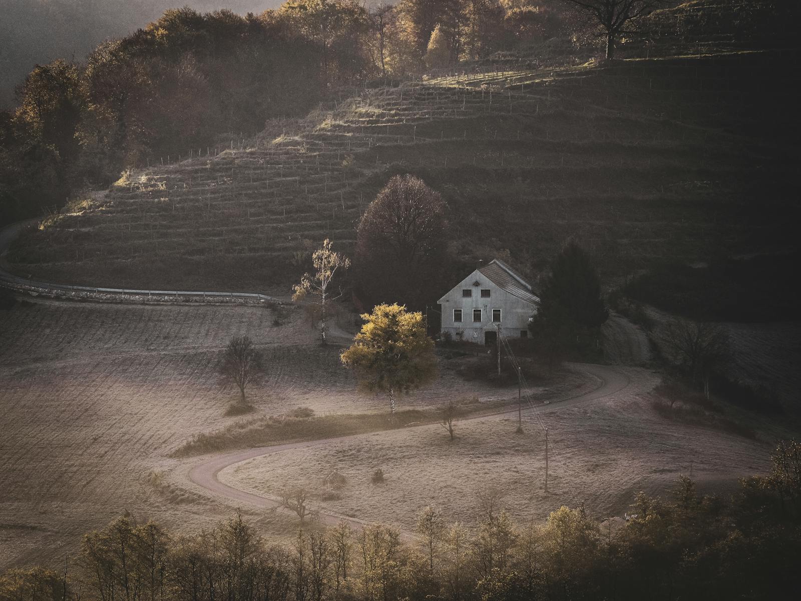 Nature House Photos, Download The BEST Free Nature House Stock Photos ...