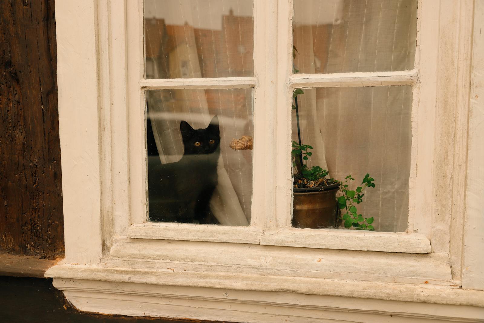 House Window Photos, Download The BEST Free House Window Stock Photos ...