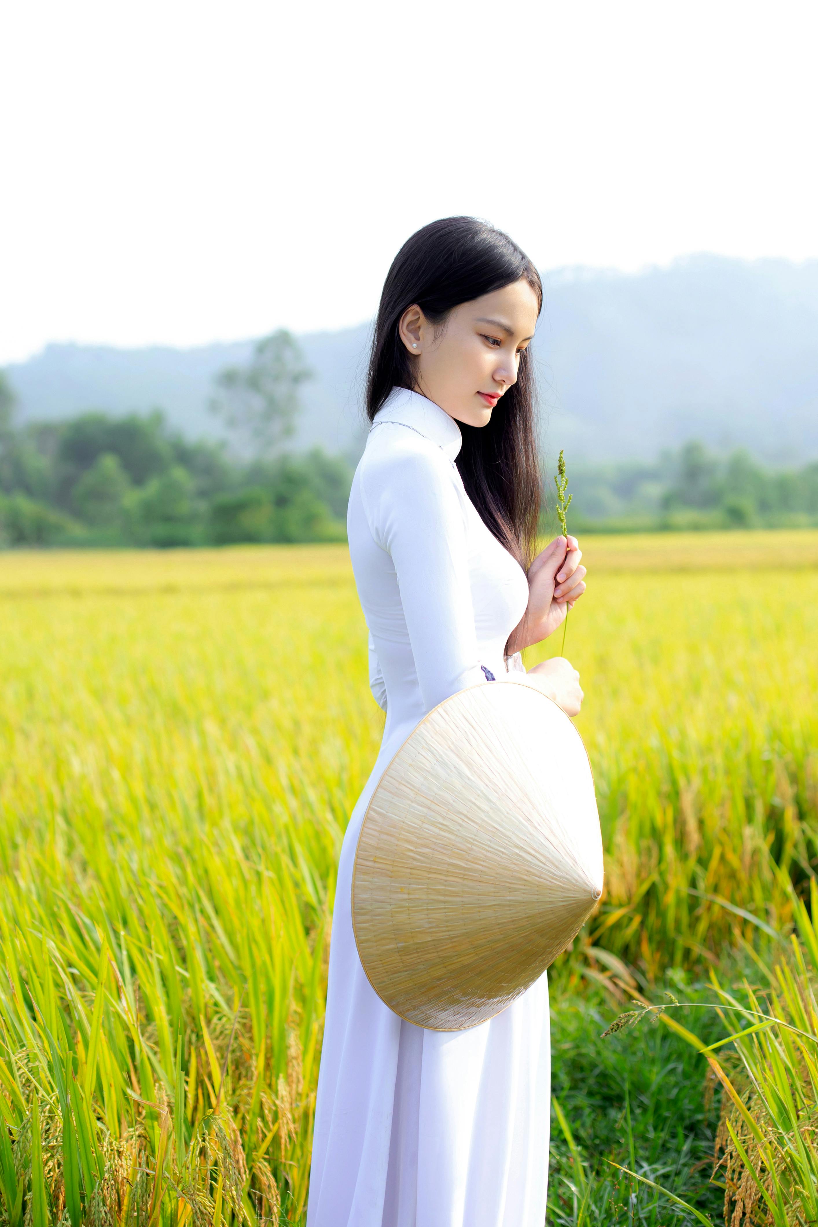 Woman in Traditional Ao Dai in Vietnamese Rice Field · Free Stock Photo