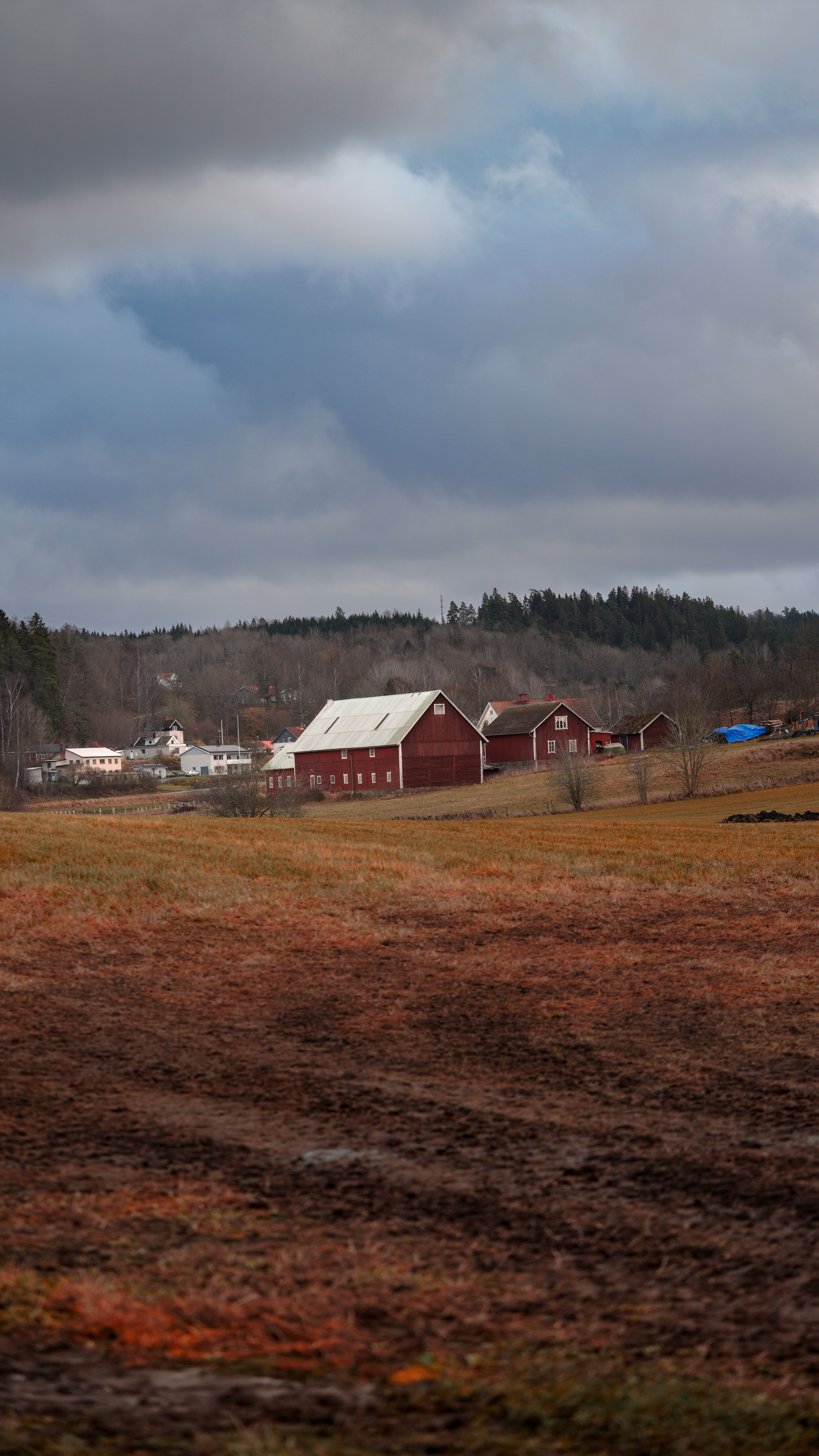 Scenic Red Barn in Autumn Landscape · Free Stock Photo