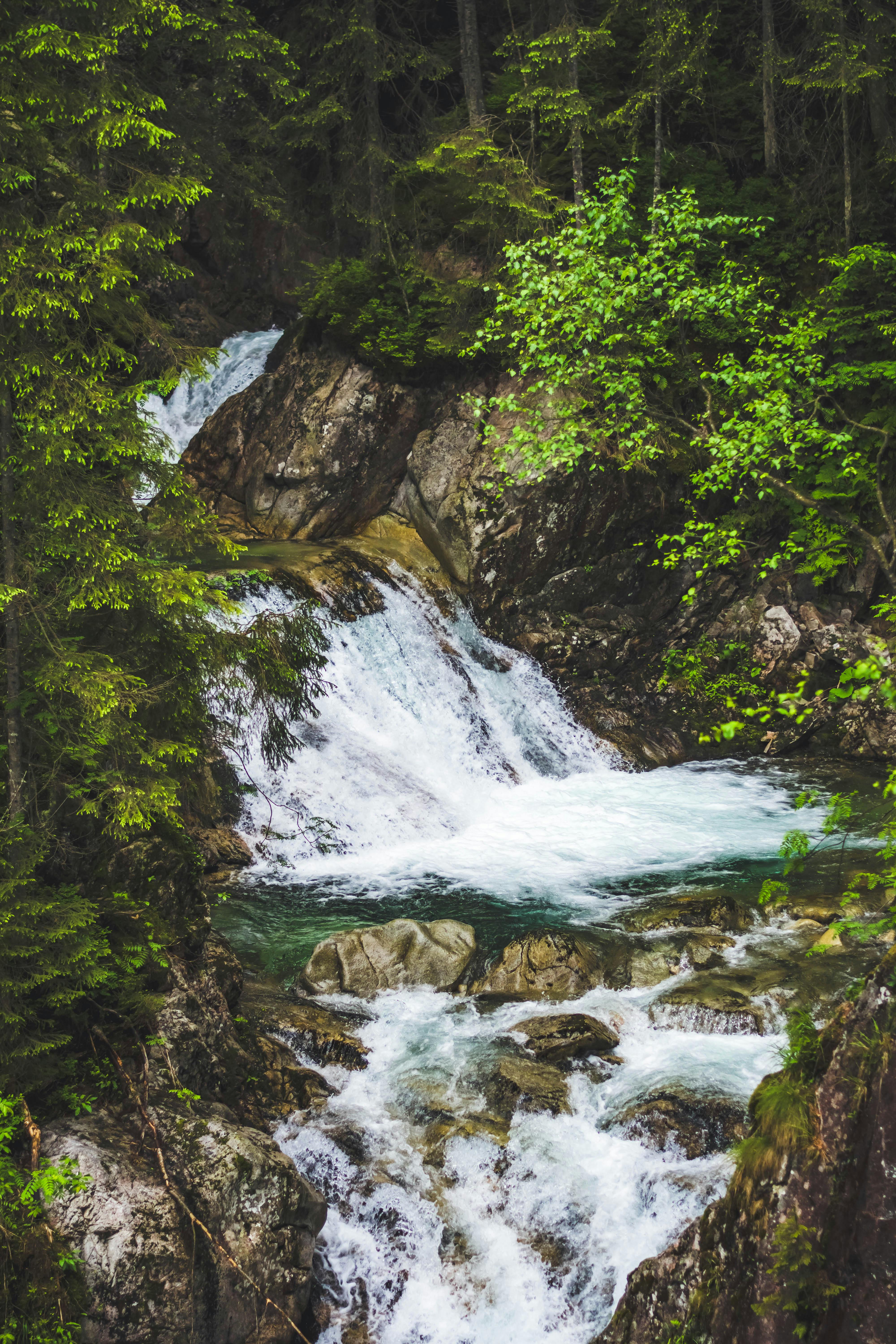 Photo of a Waterfall Between Trees · Free Stock Photo