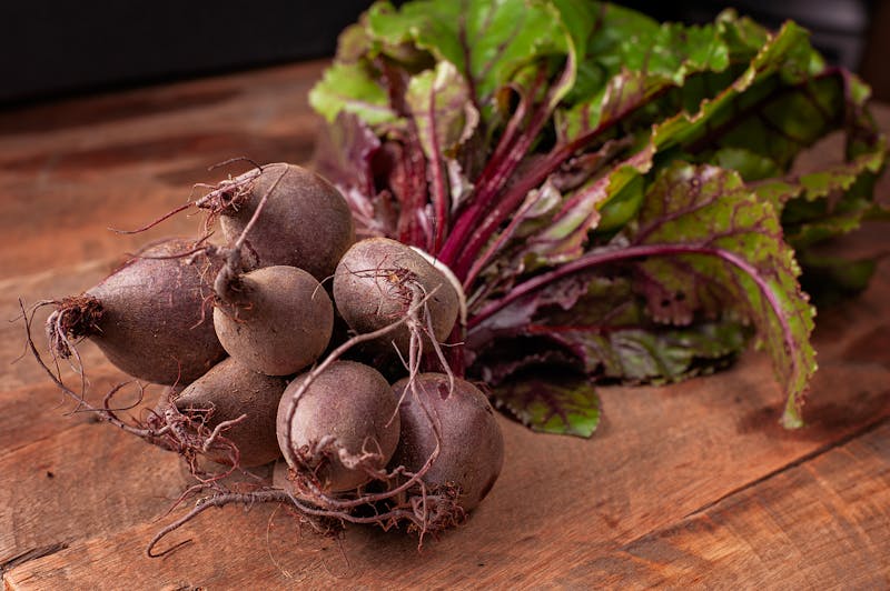 Beet Photos, Download The BEST Free Beet Stock Photos & HD Images