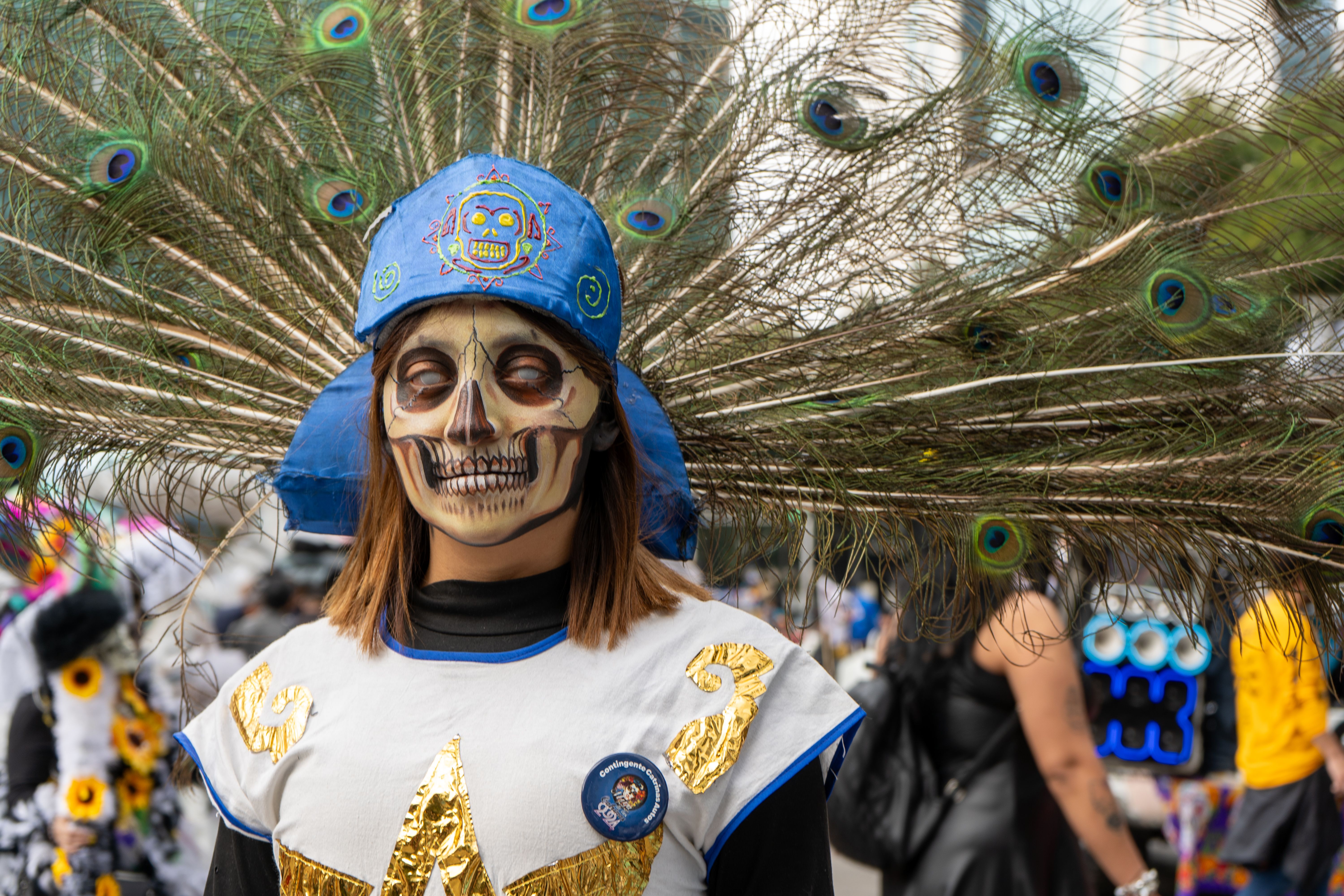 Peacock Skeleton Photos, Download The BEST Free Peacock Skeleton Stock ...