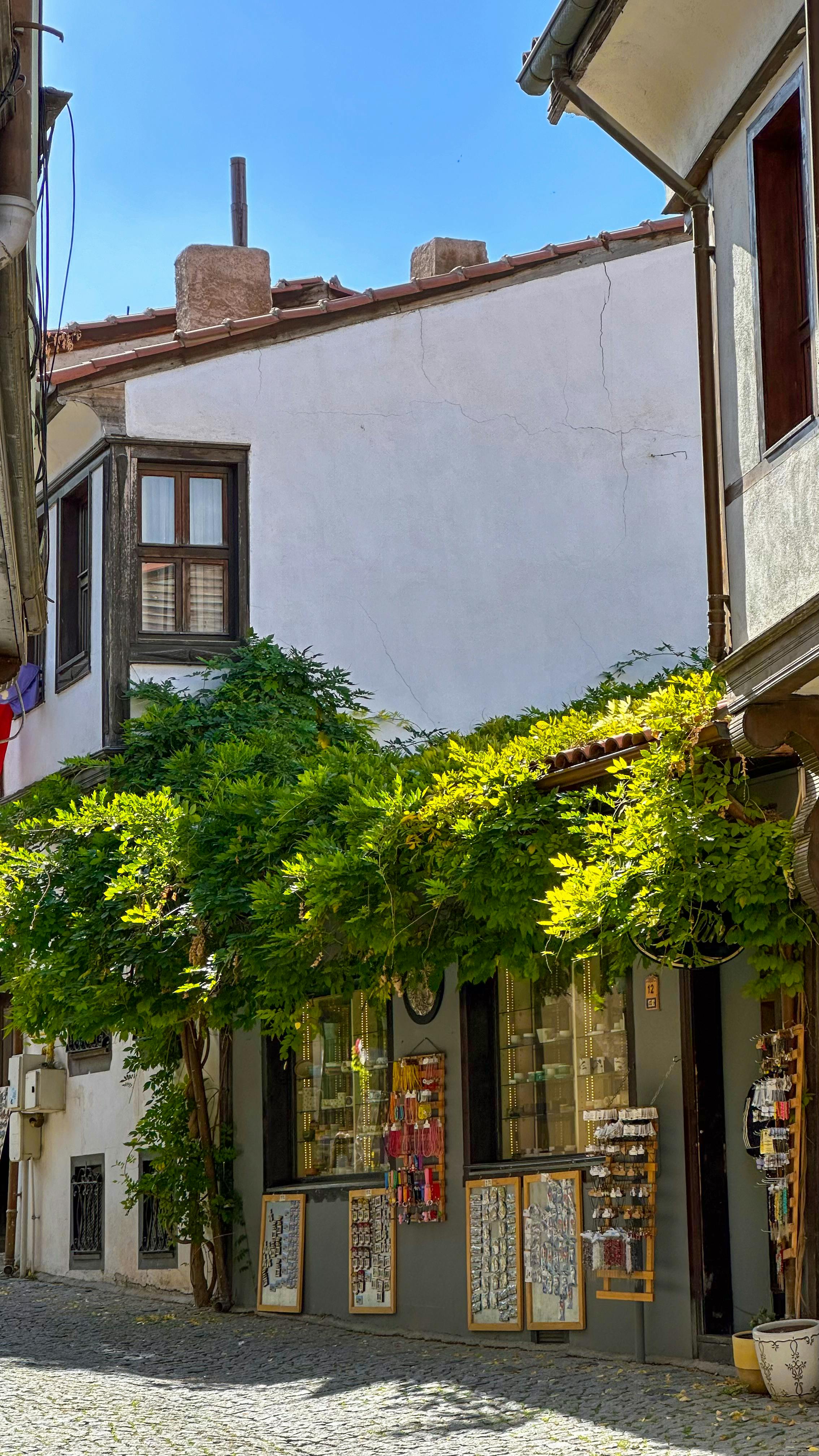 Charming Ottoman Street with Traditional Architecture · Free Stock Photo