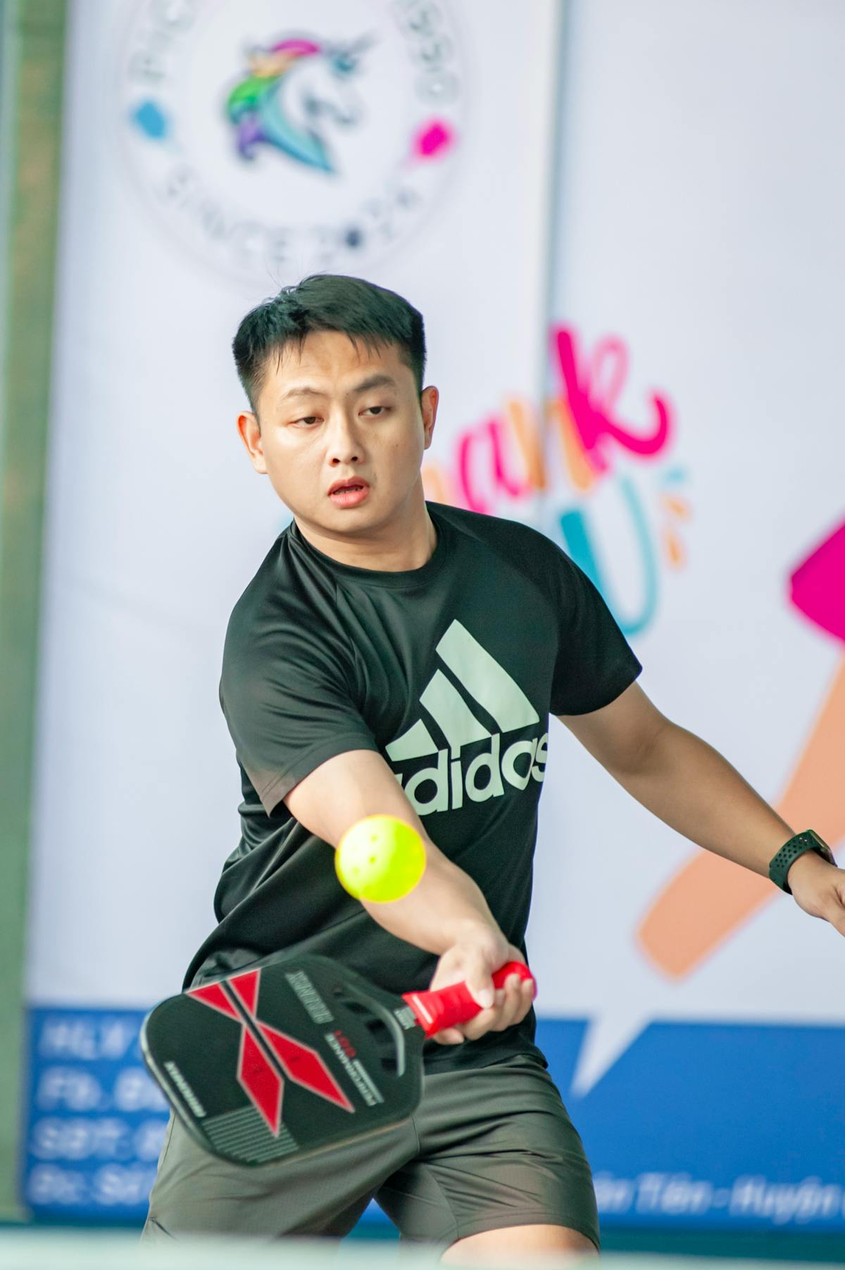 Pickleball Photos, Download The BEST Free Pickleball Stock Photos & HD ...