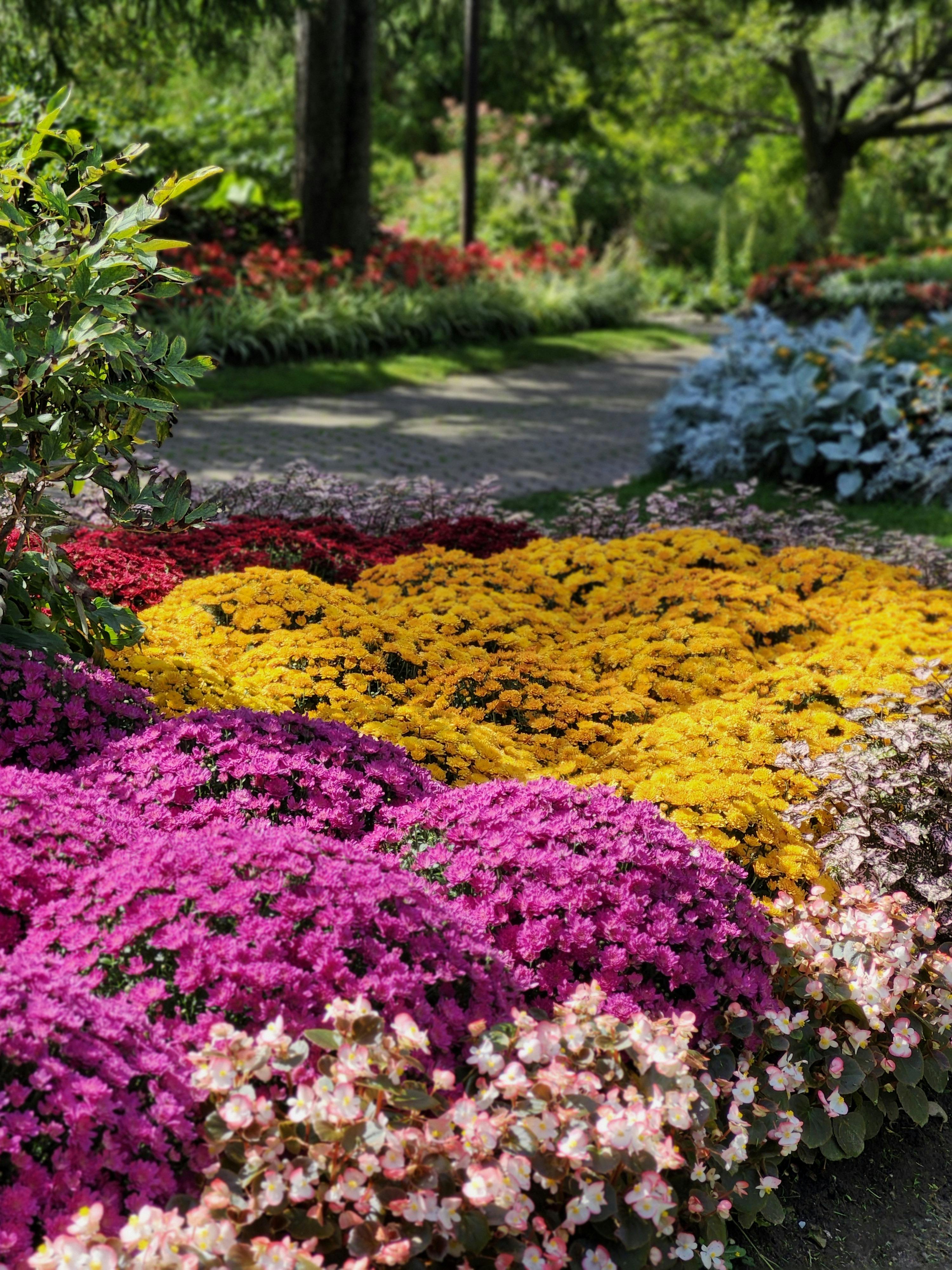 Nikki Bloom Photos, Download The BEST Free Nikki Bloom Stock Photos ...