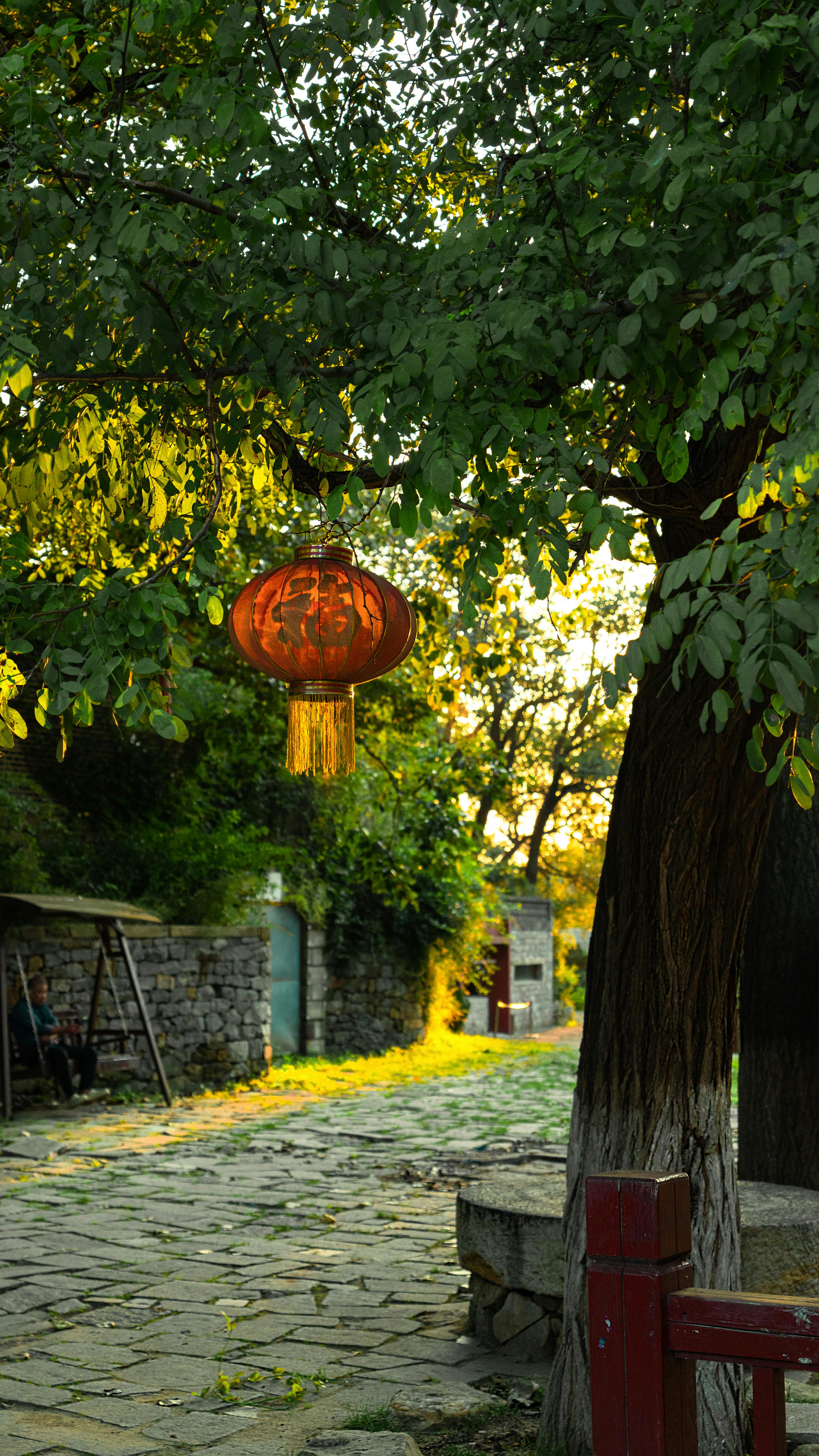 Charming Pathway with Traditional Chinese Lantern · Free Stock Photo