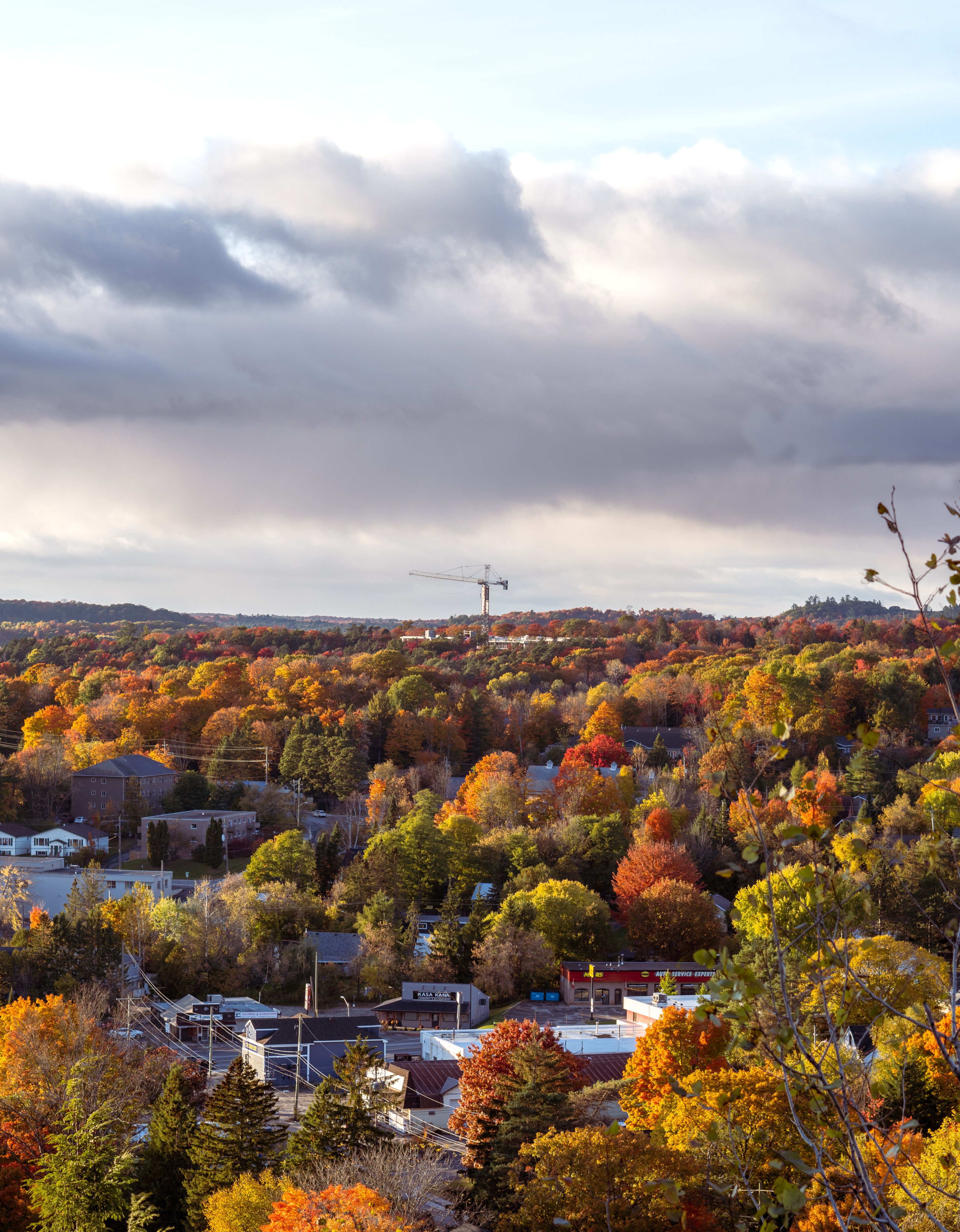 Scenic Fall Landscape in Ontario, Canada · Free Stock Photo