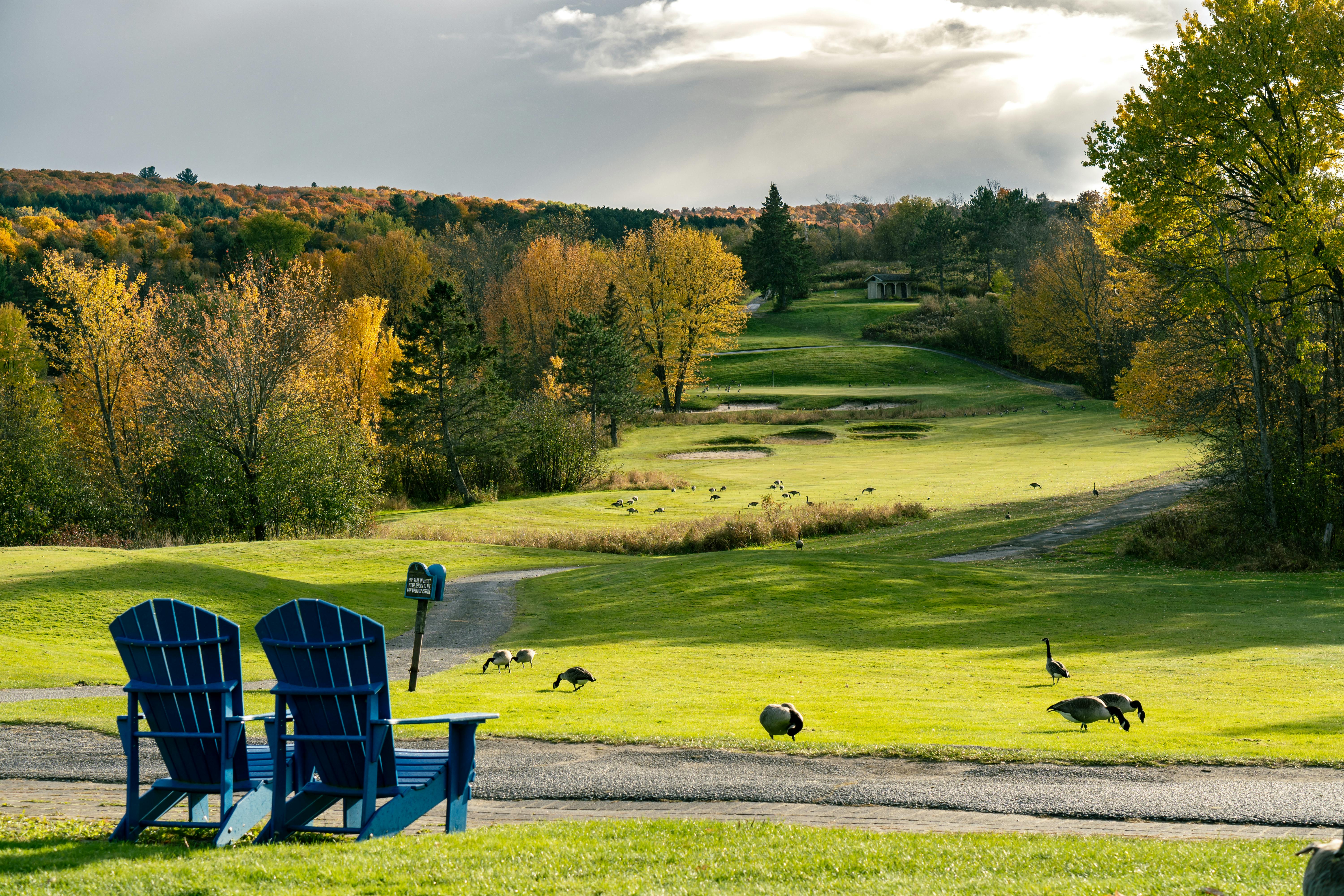 Scenic Autumn View at Ontario Golf Course · Free Stock Photo