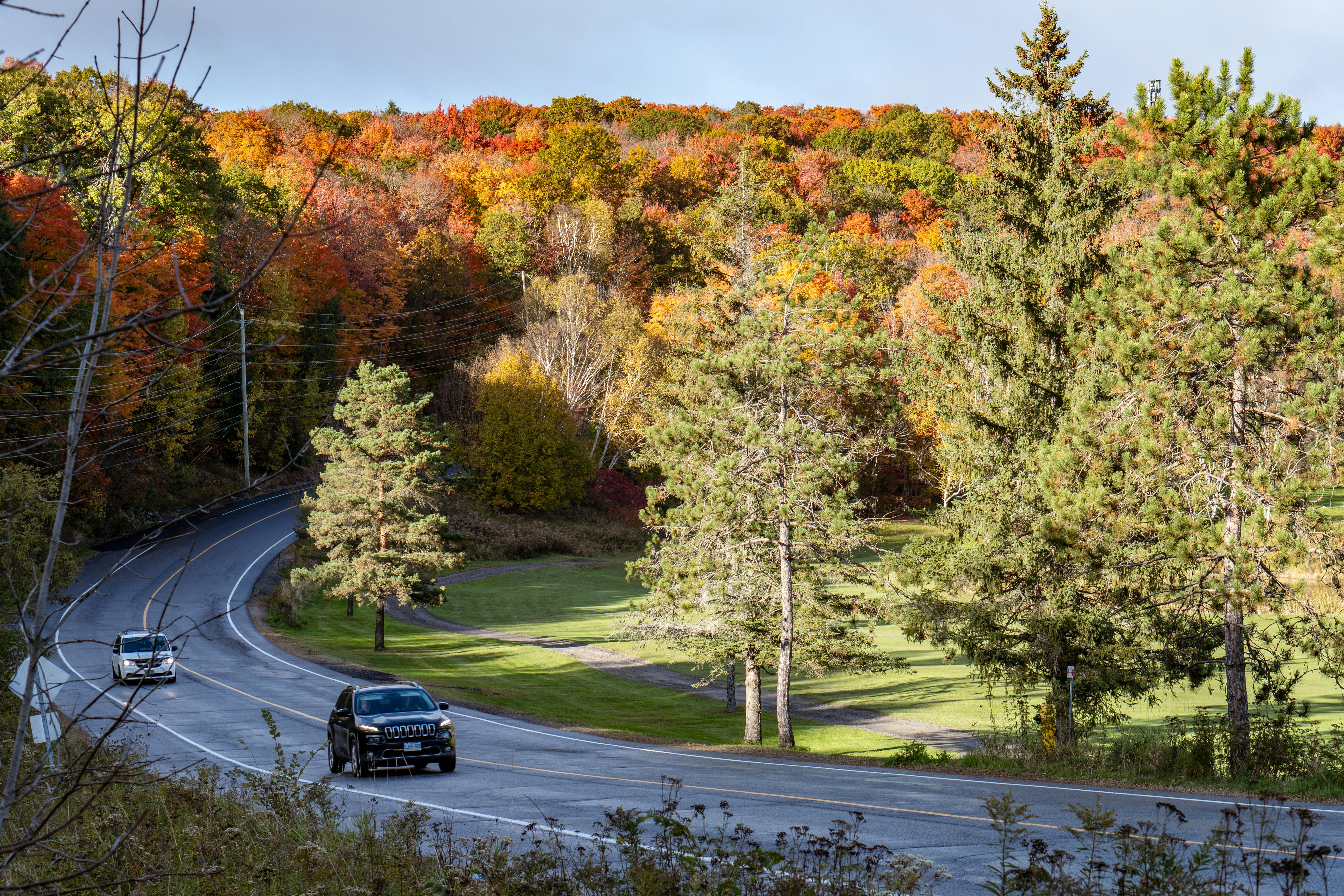 Alpha Bounce Photos, Download The BEST Free Alpha Bounce Stock Photos ...