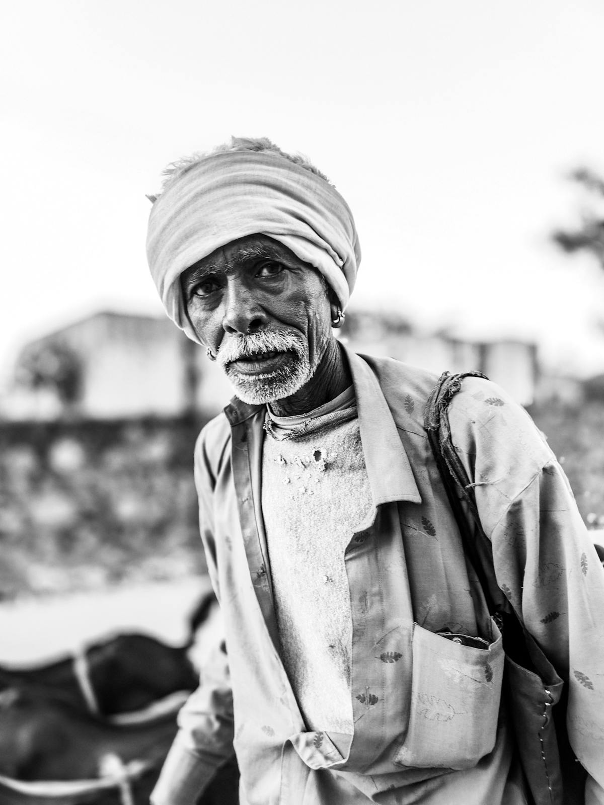 Elderly Man Photos, Download The BEST Free Elderly Man Stock Photos ...