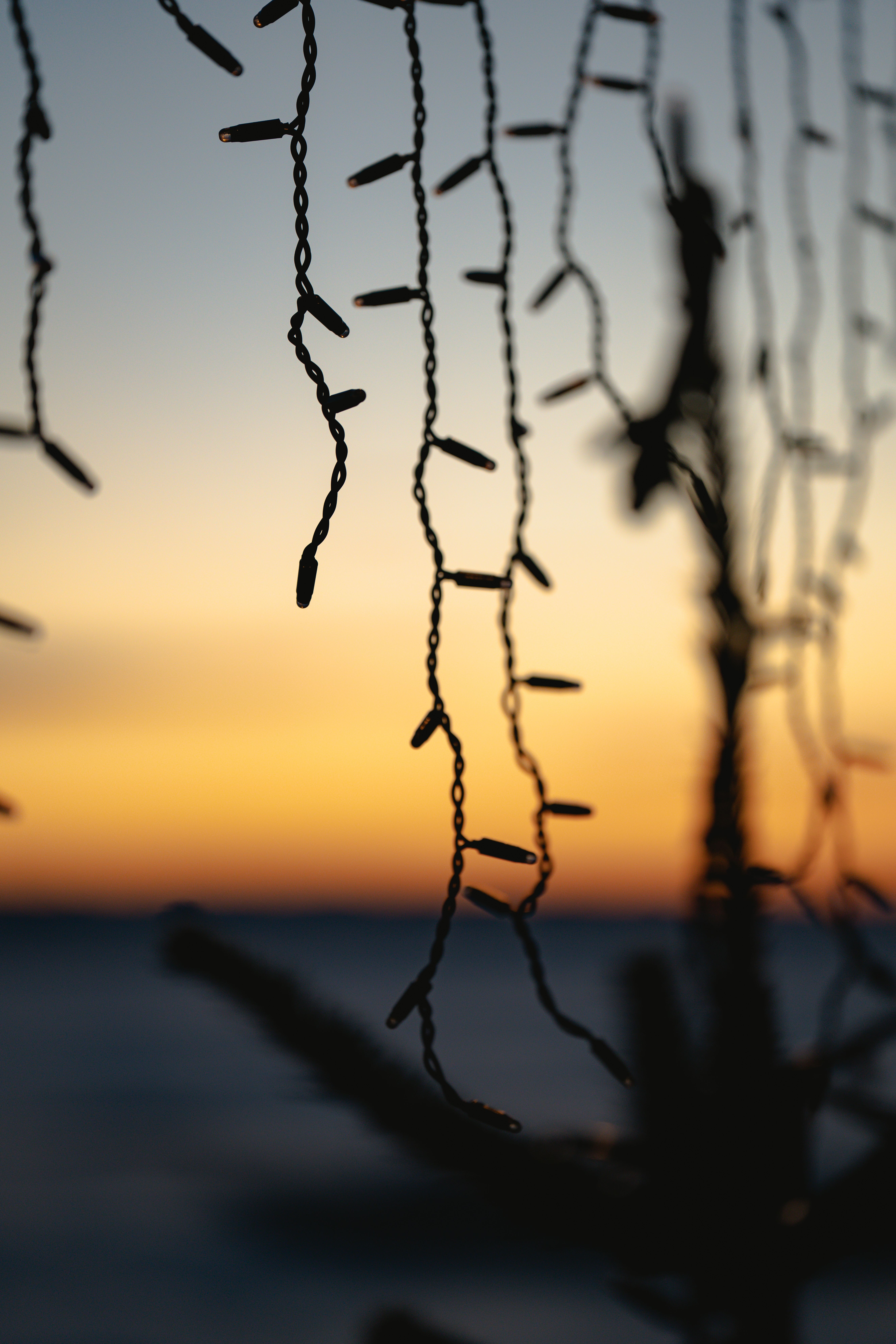 Twilight Beach Scene with String Lights · Free Stock Photo