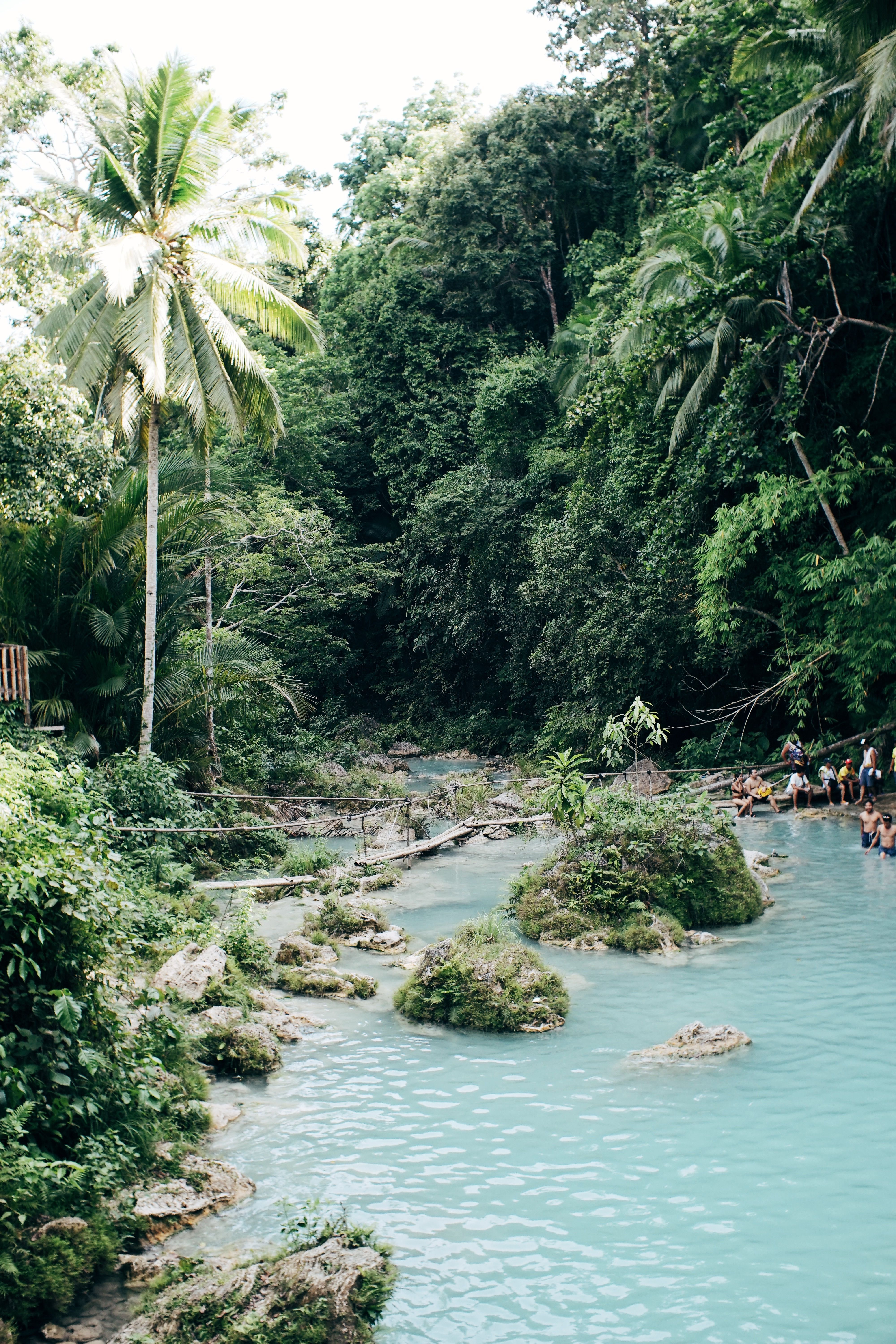 Tropical River Scene with Lush Greenery · Free Stock Photo