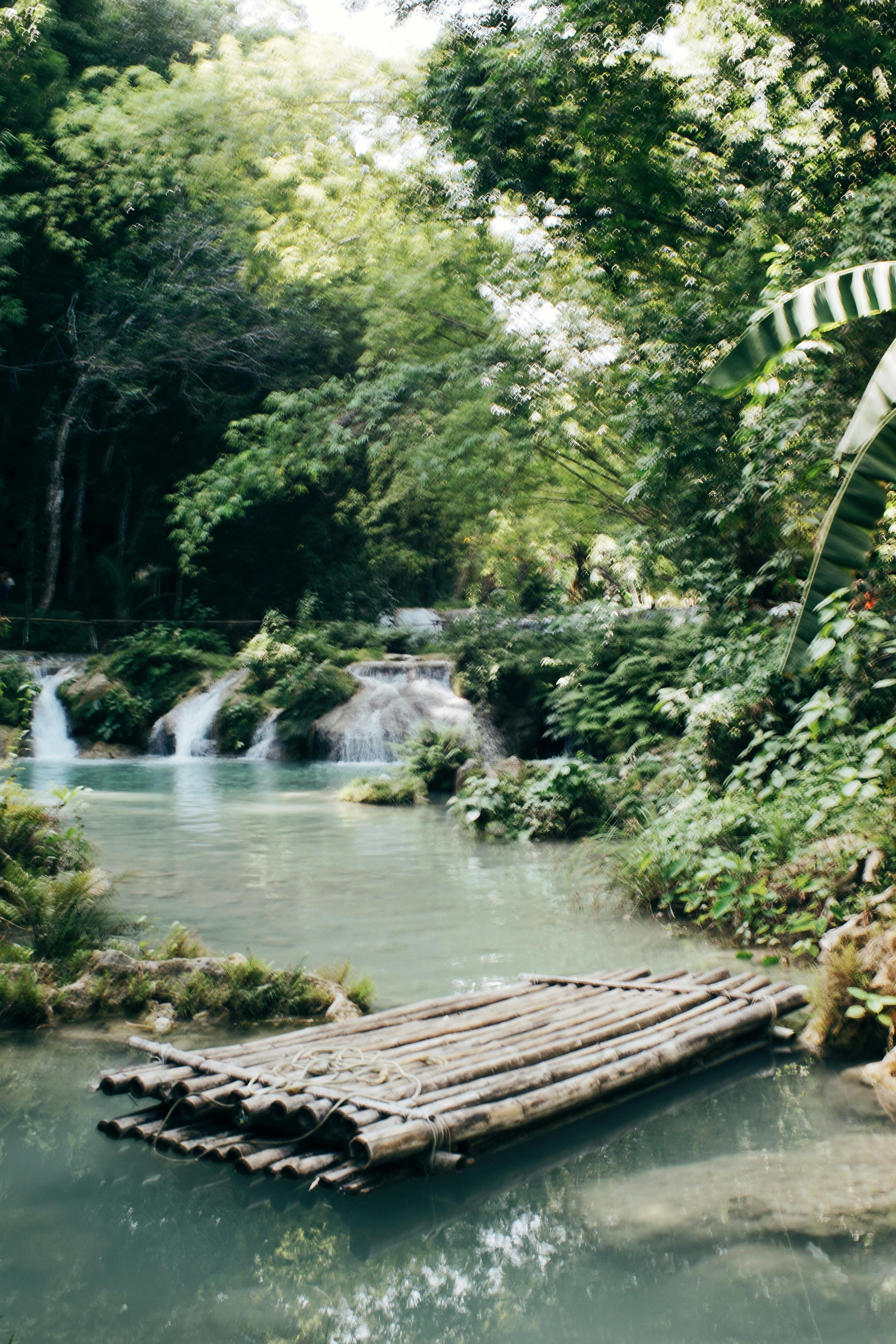 Serene Tropical Waterfall with Bamboo Raft · Free Stock Photo