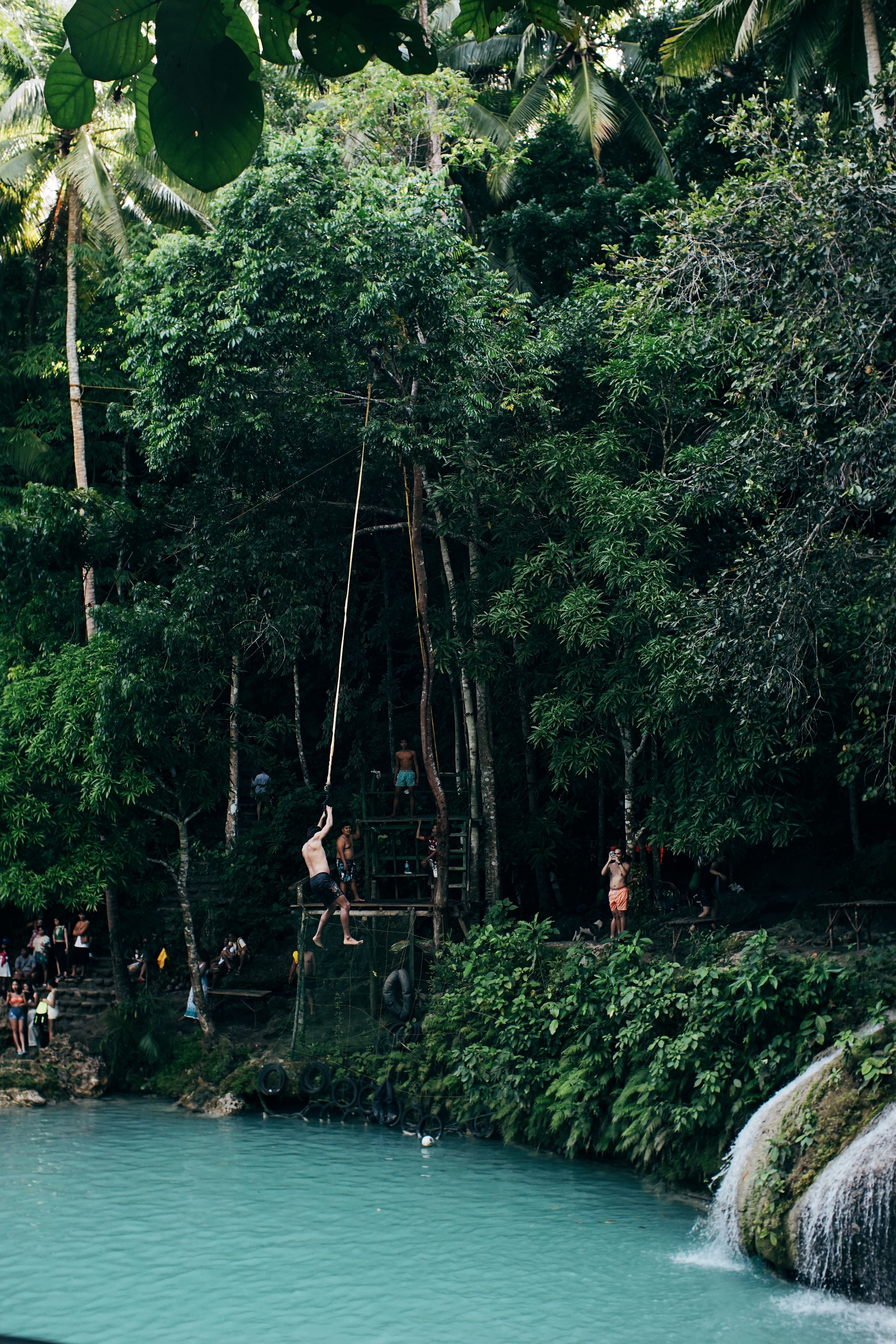 Tropical Rope Swing Over Turquoise Lagoon · Free Stock Photo