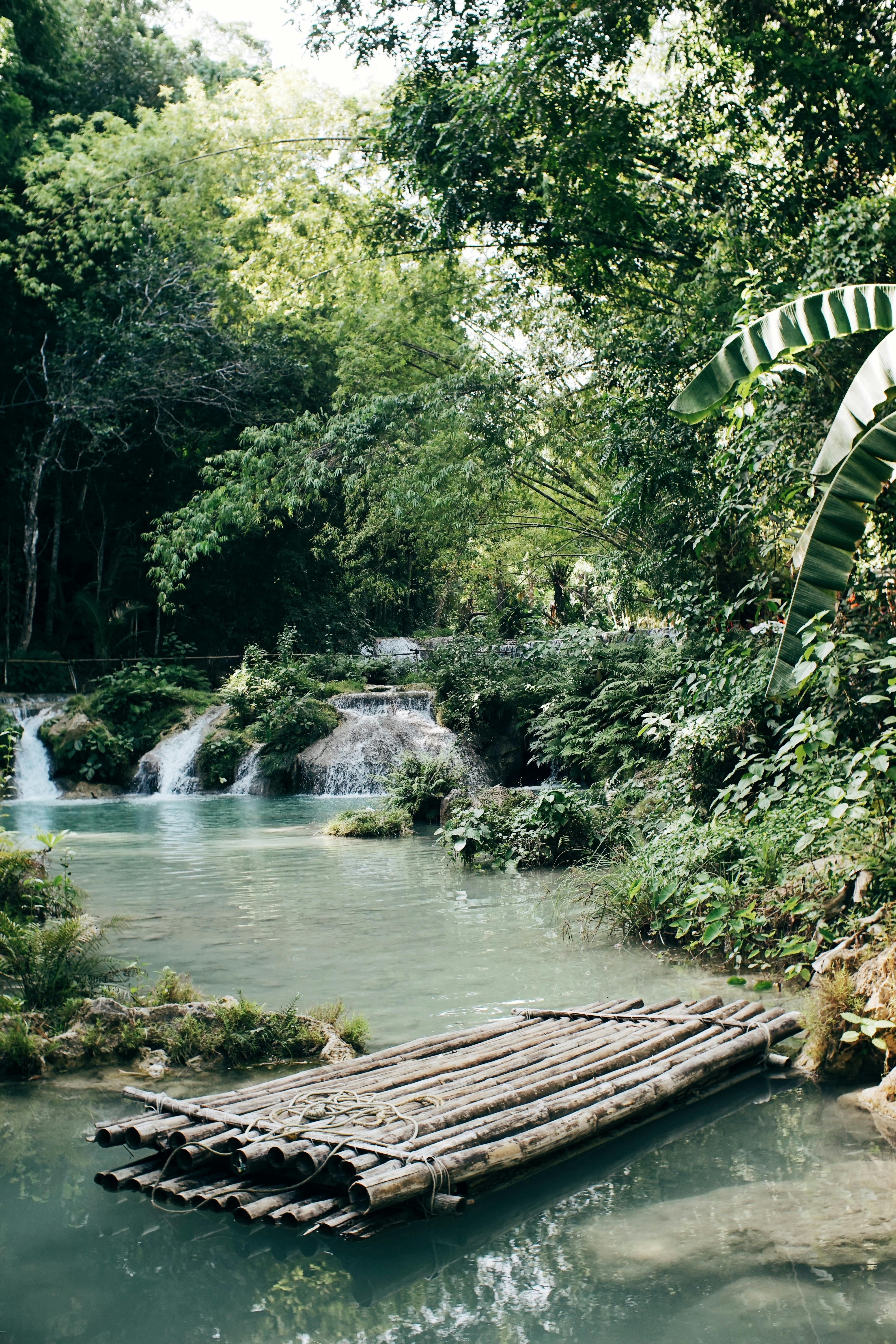 Swimming+Pool+Catfight Photos, Download The BEST Free Swimming+Pool ...