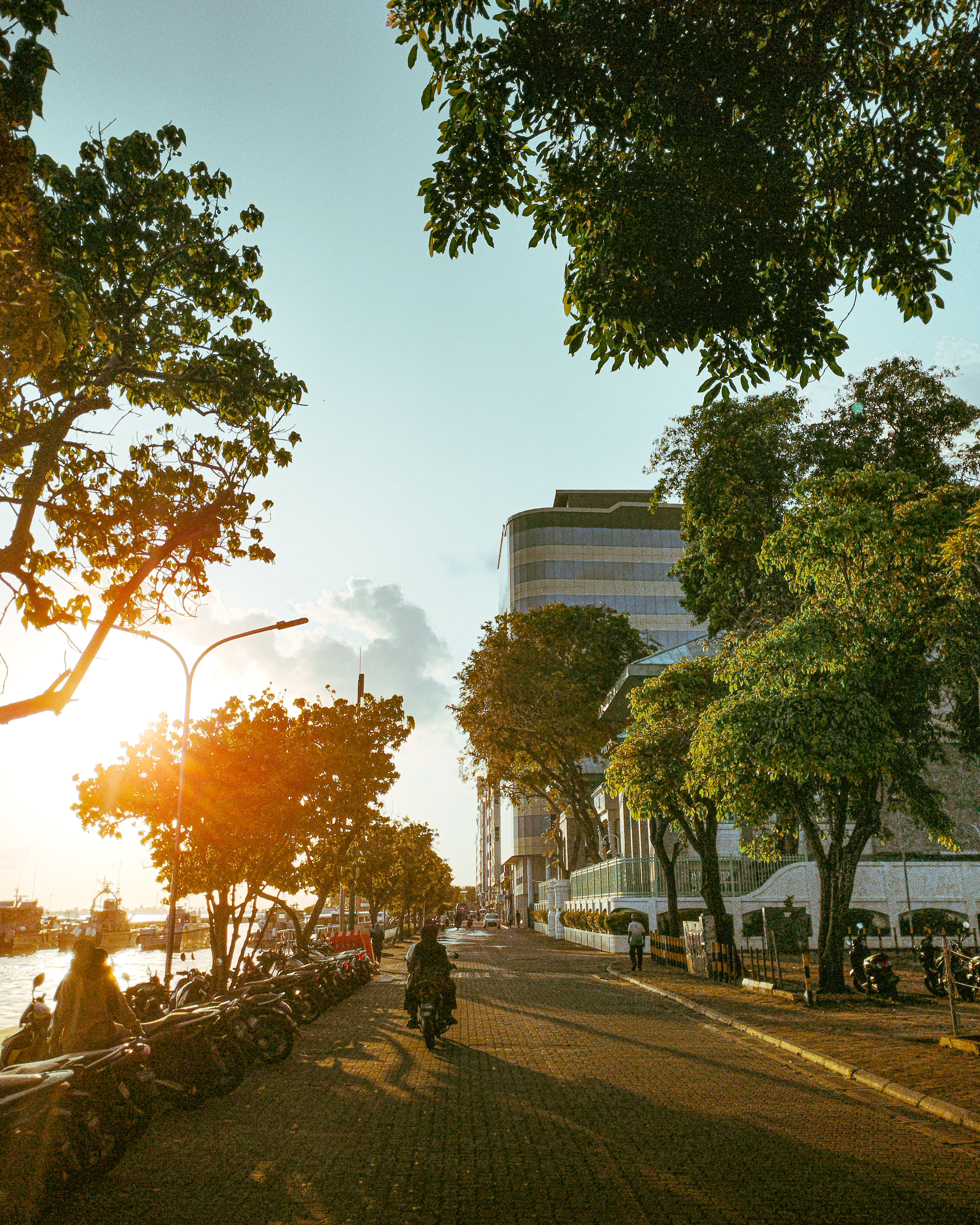Sunlit Urban Path with Modern Architecture · Free Stock Photo