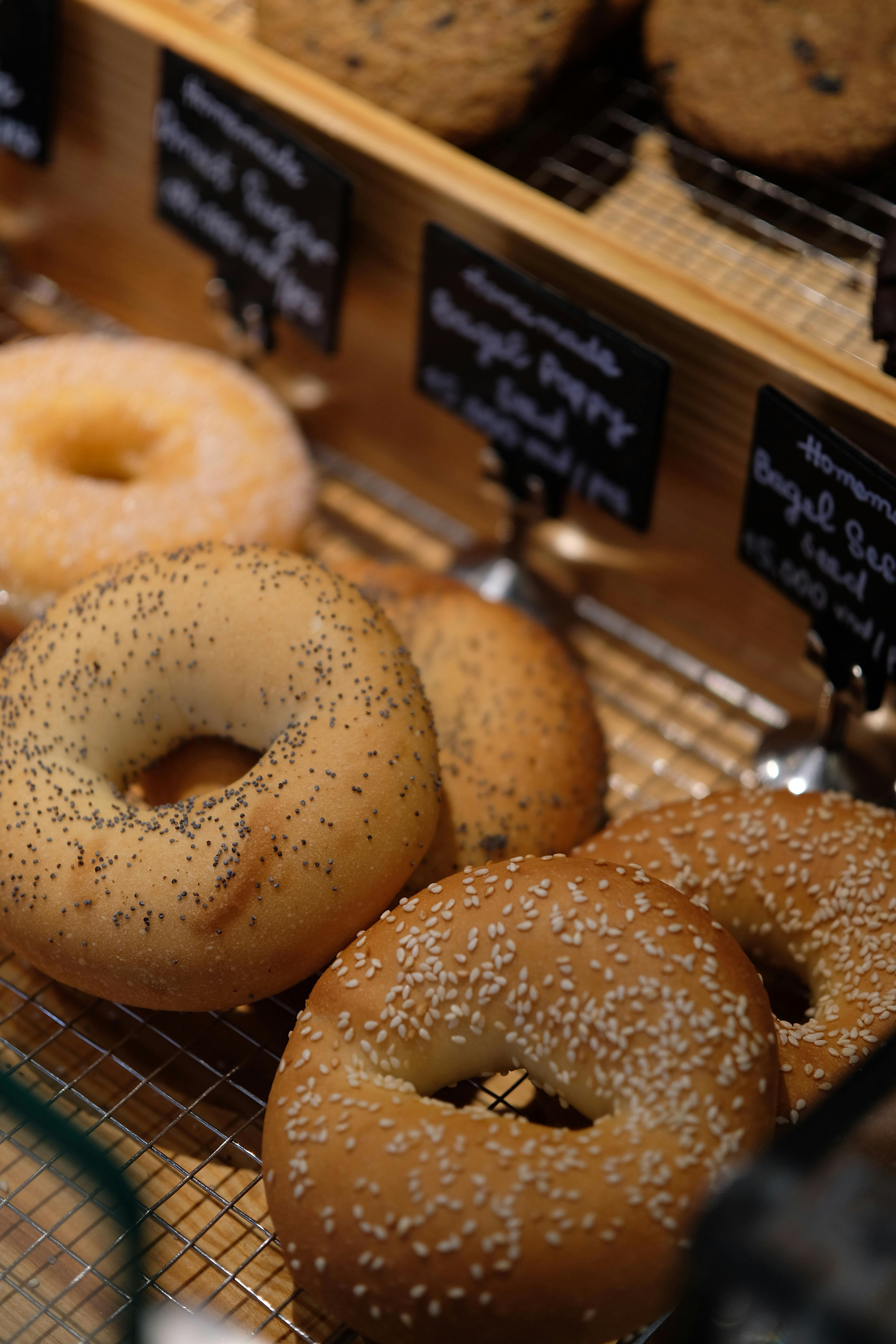 Assorted Fresh Bagels in Bakery Display · Free Stock Photo