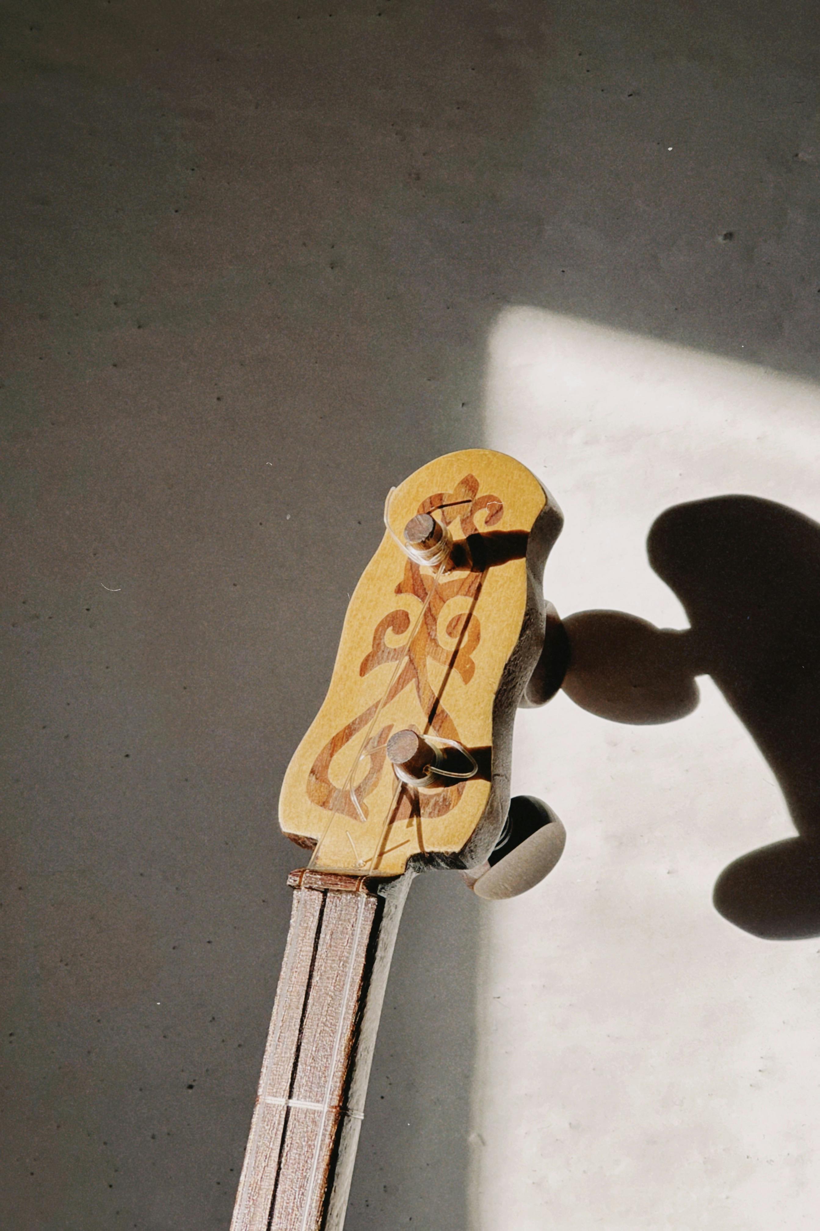 Single Instrument Photos, Download The BEST Free Single Instrument ...