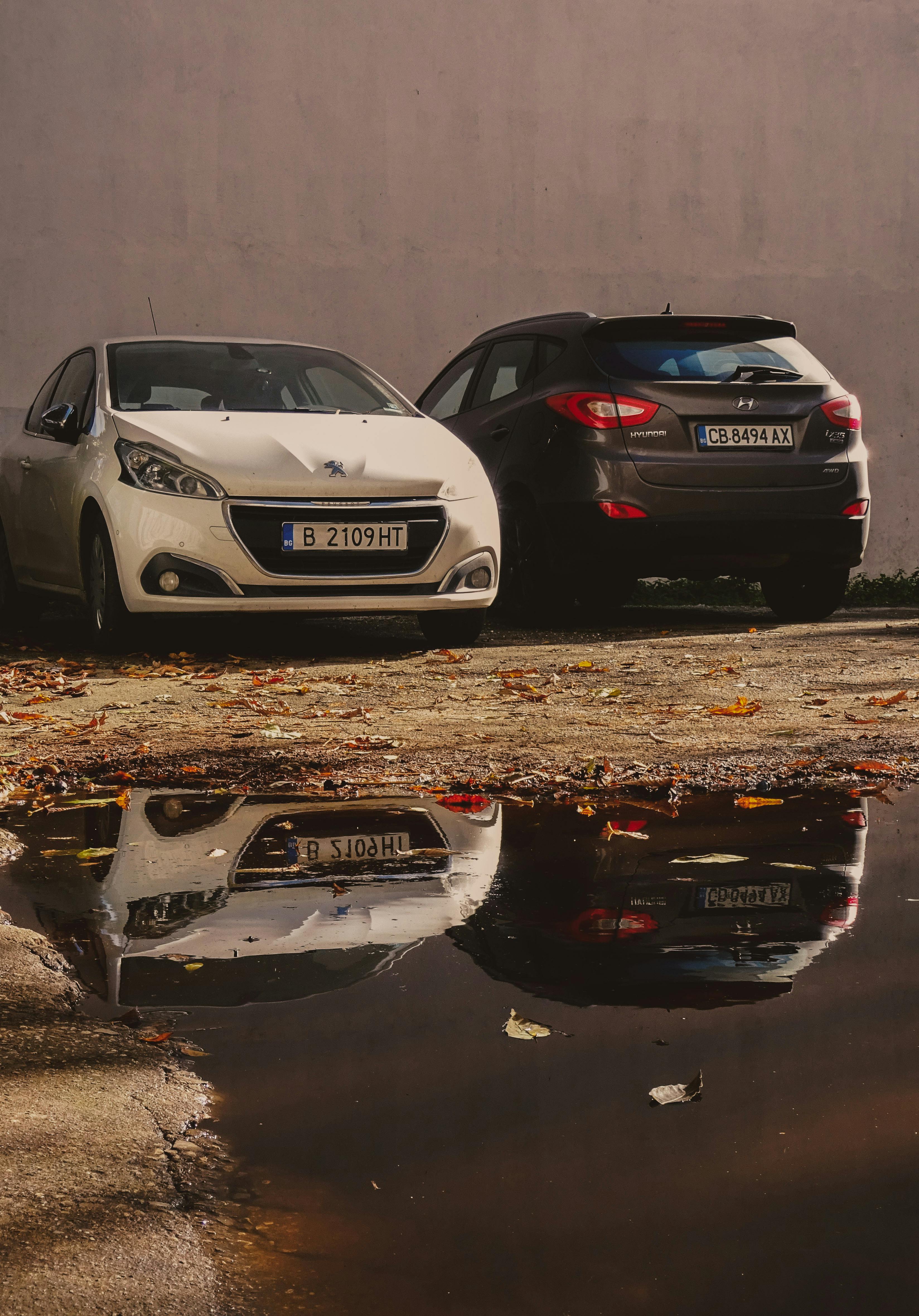 Outdoor Reflection of Cars in Puddle · Free Stock Photo