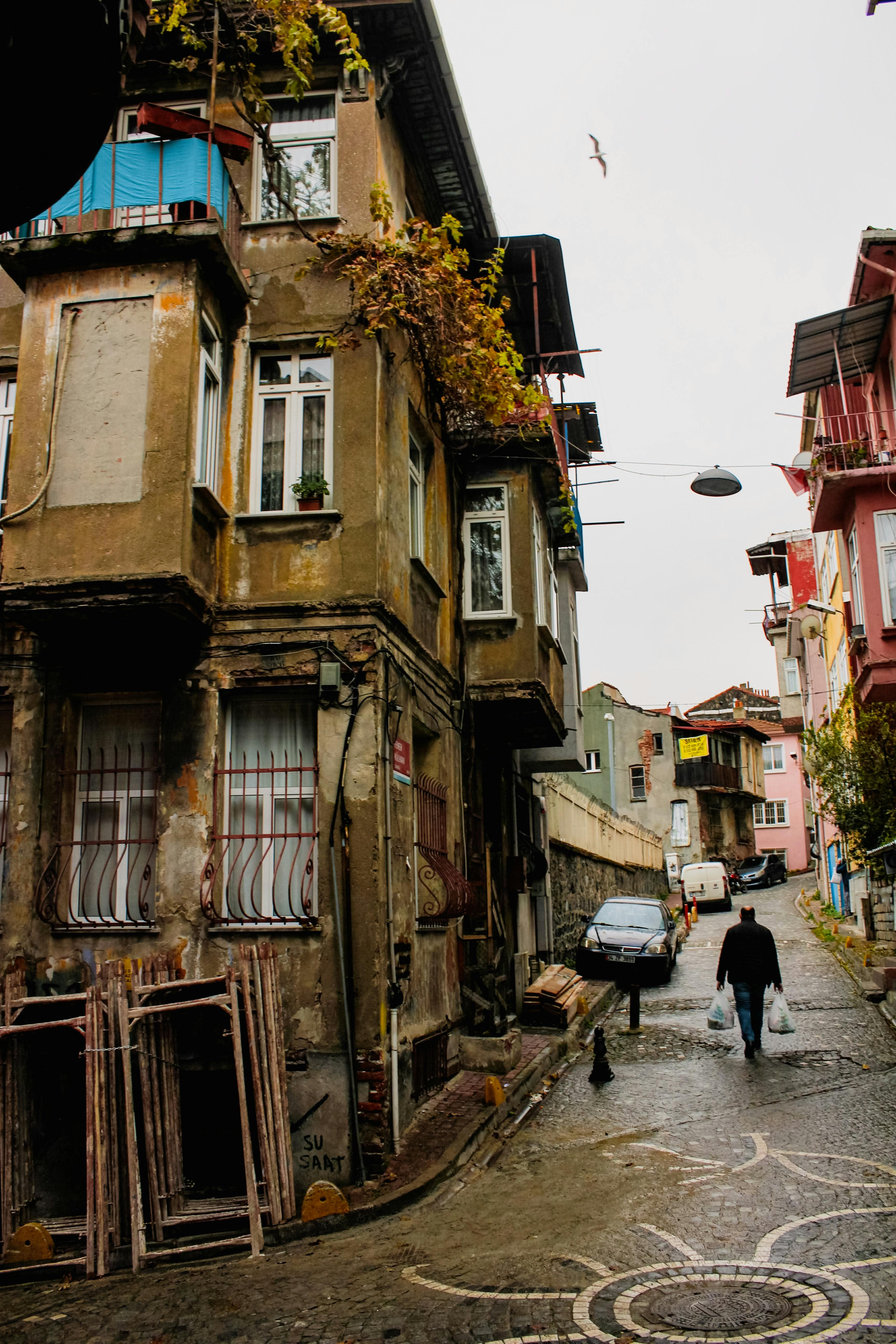 7.000+ melhores imagens de Resident Committee · Download 100% grátis ...