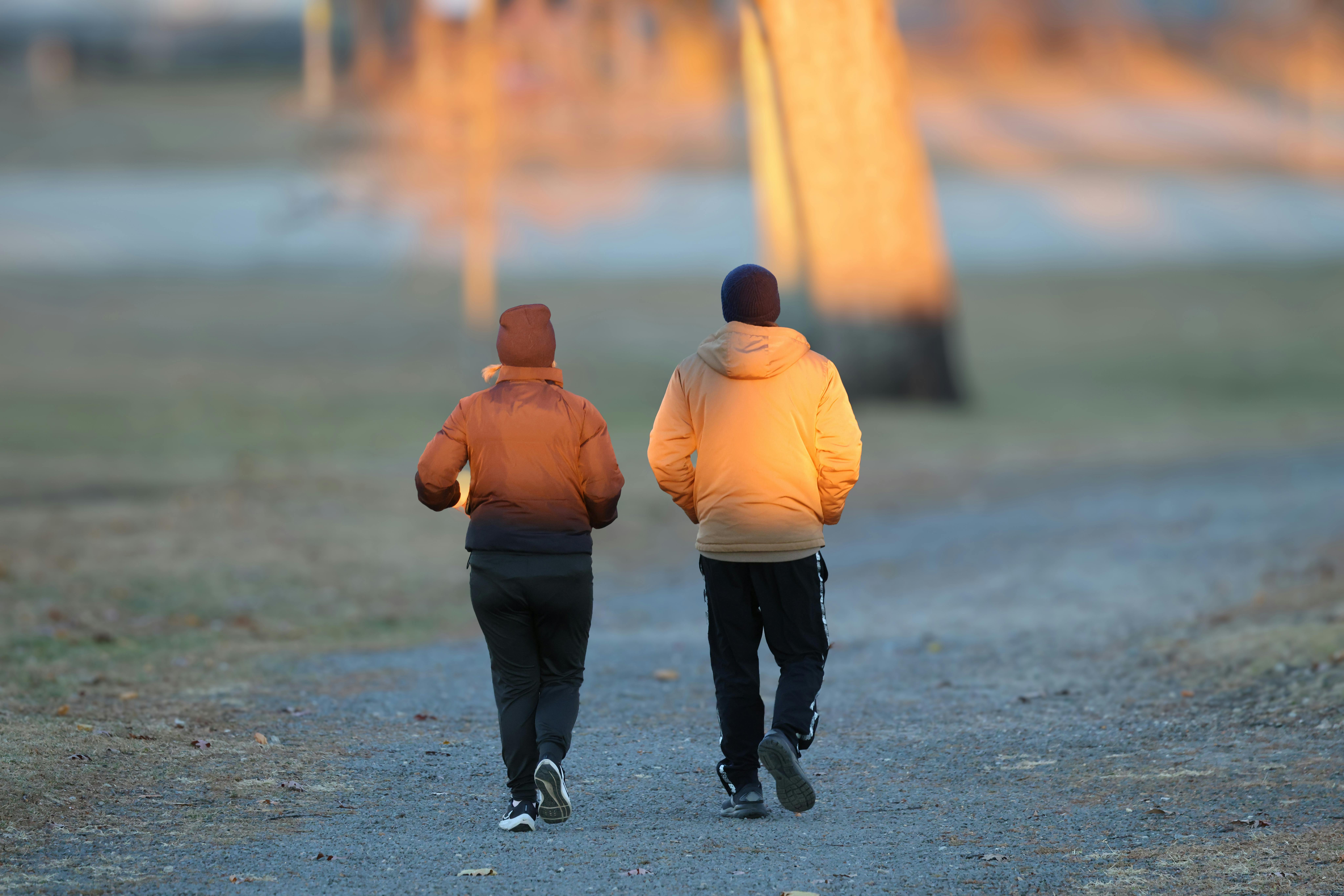Early Morning Walk in Autumn at Stamford Park · Free Stock Photo