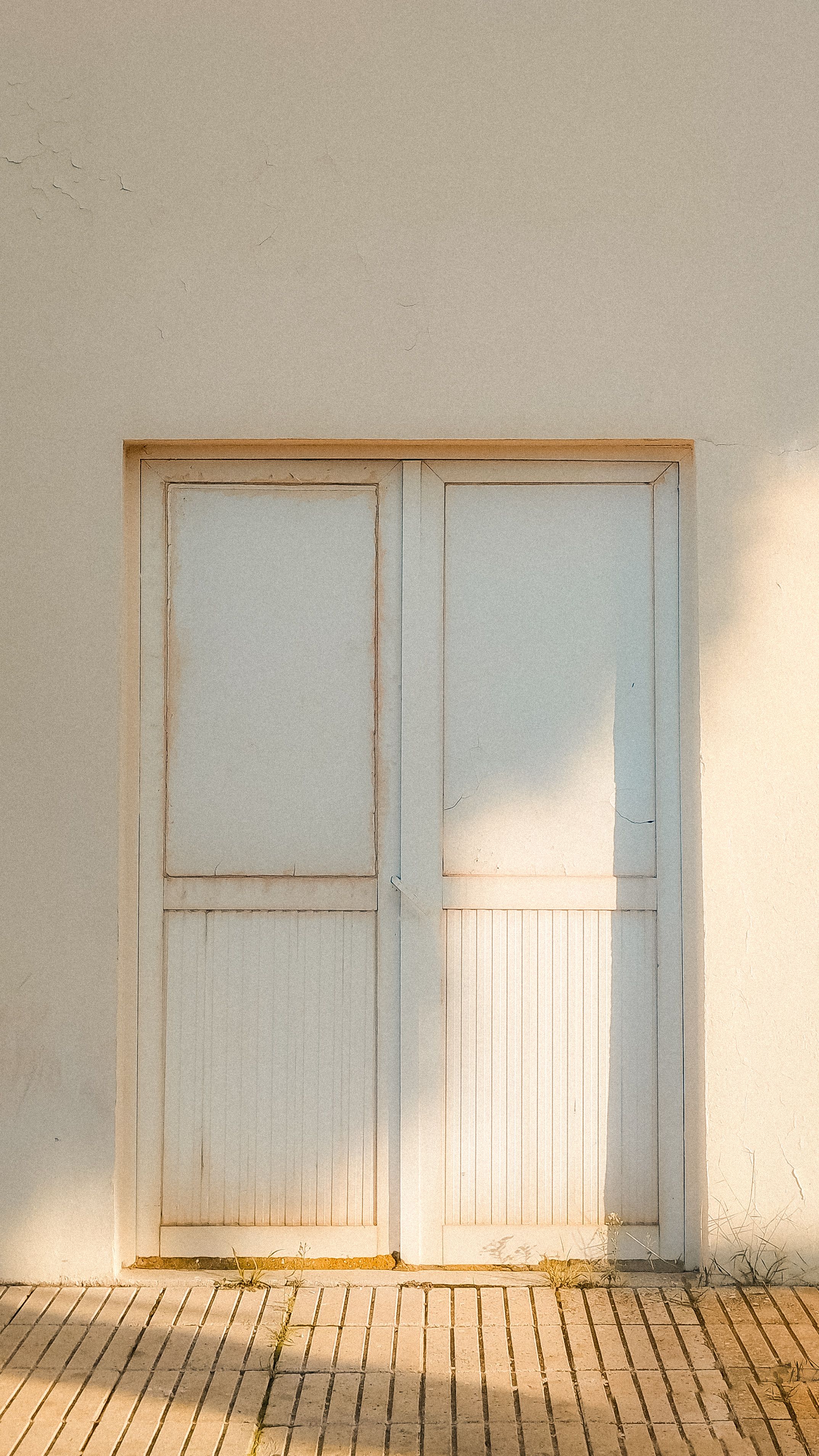 Wall Design Photos, Download The BEST Free Wall Design Stock Photos ...