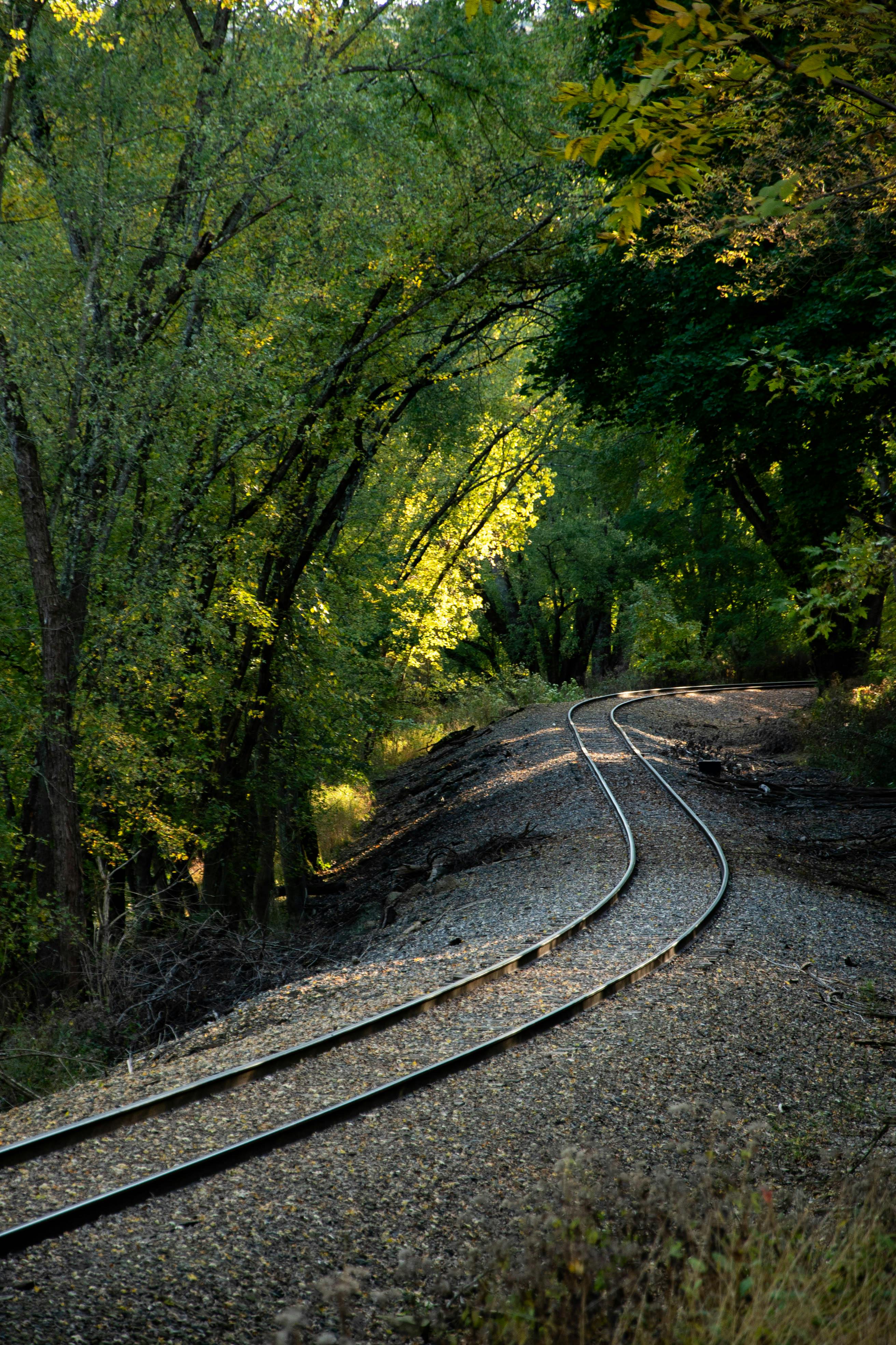 Winding Forest Railroad Tracks in Franklin, PA · Free Stock Photo