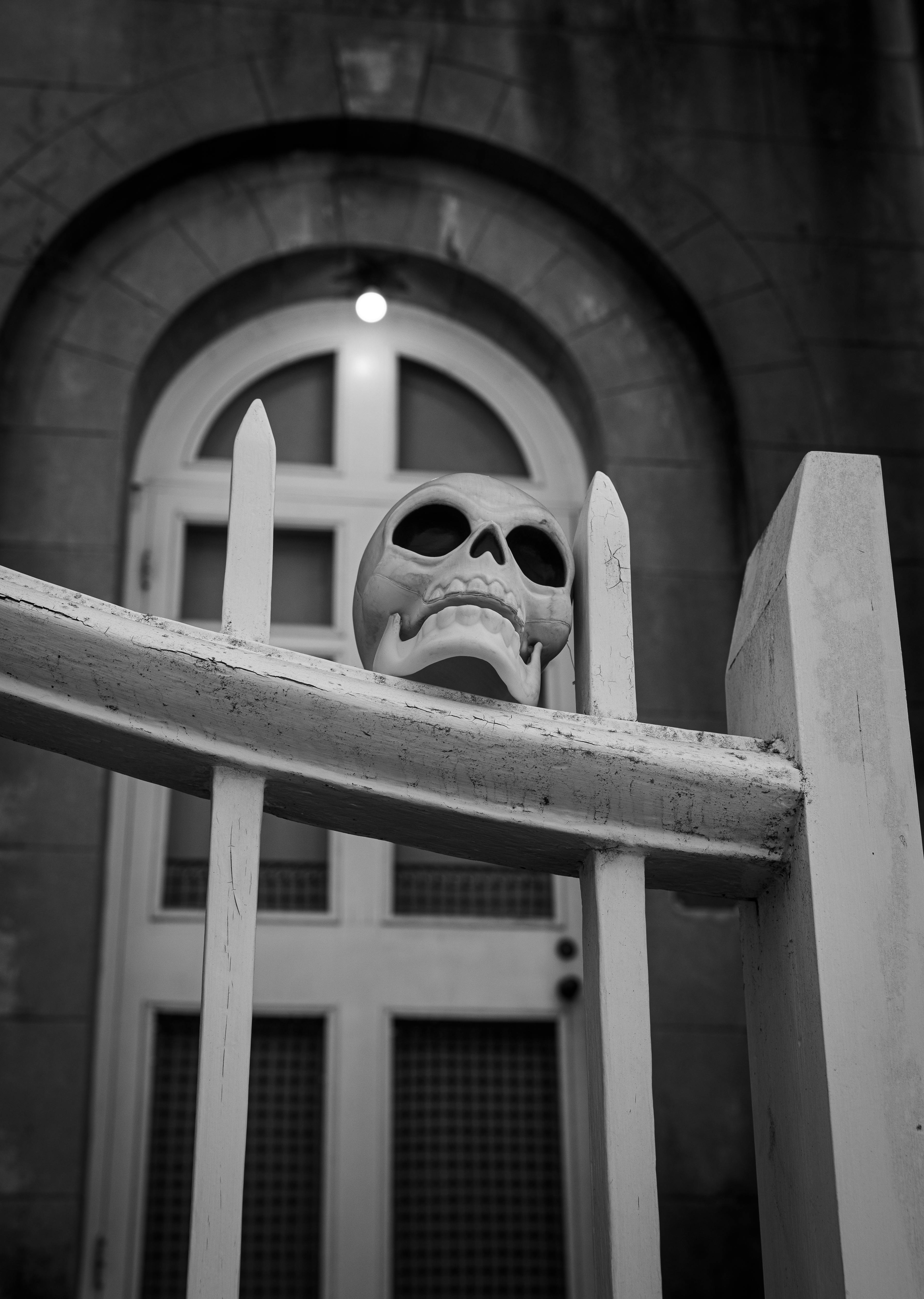 Skeleton Skull on Fence by Arched Doorway · Free Stock Photo